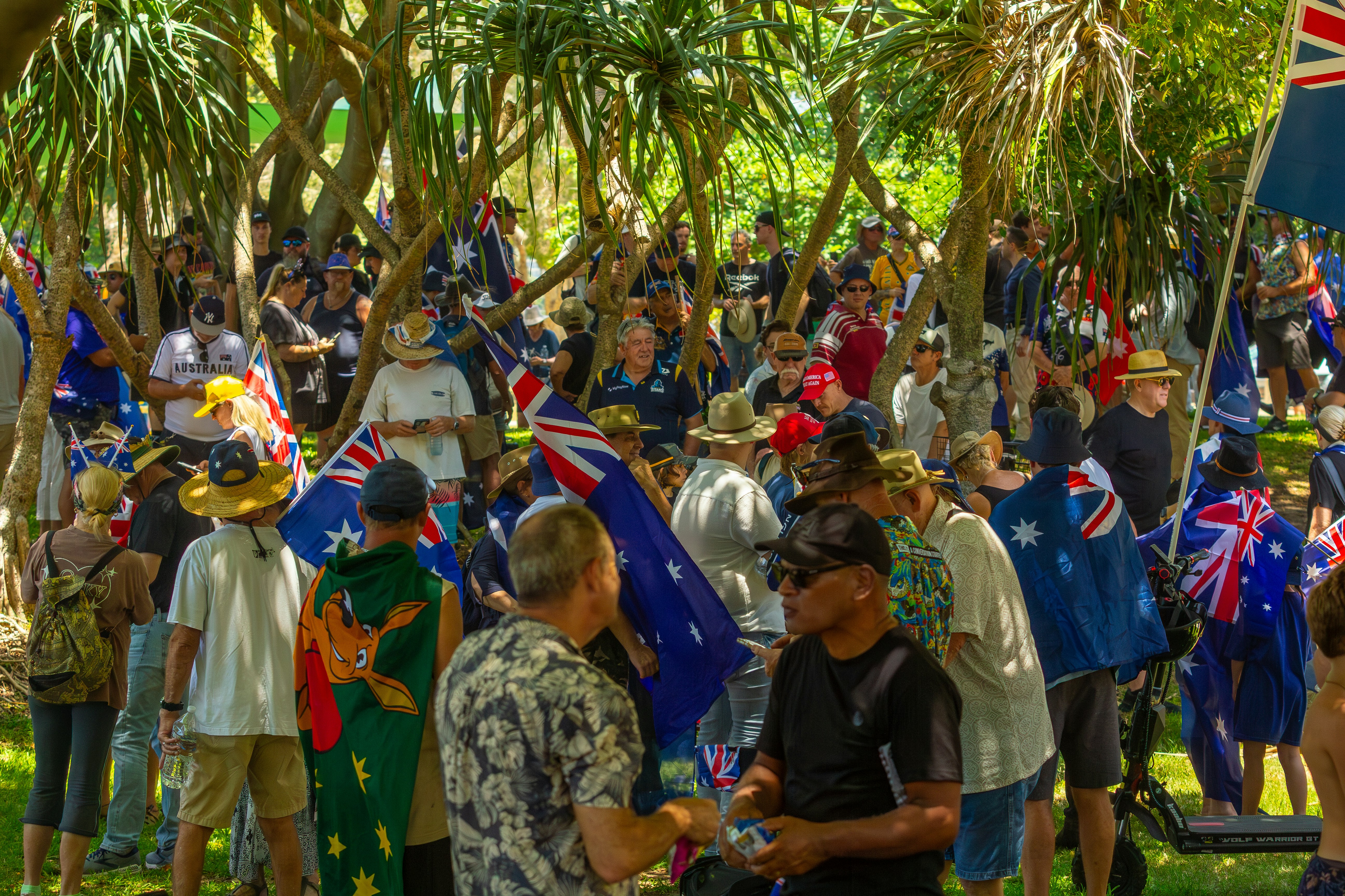 Crowd Under a Canopy: Flags and Faces in a Park Gathering