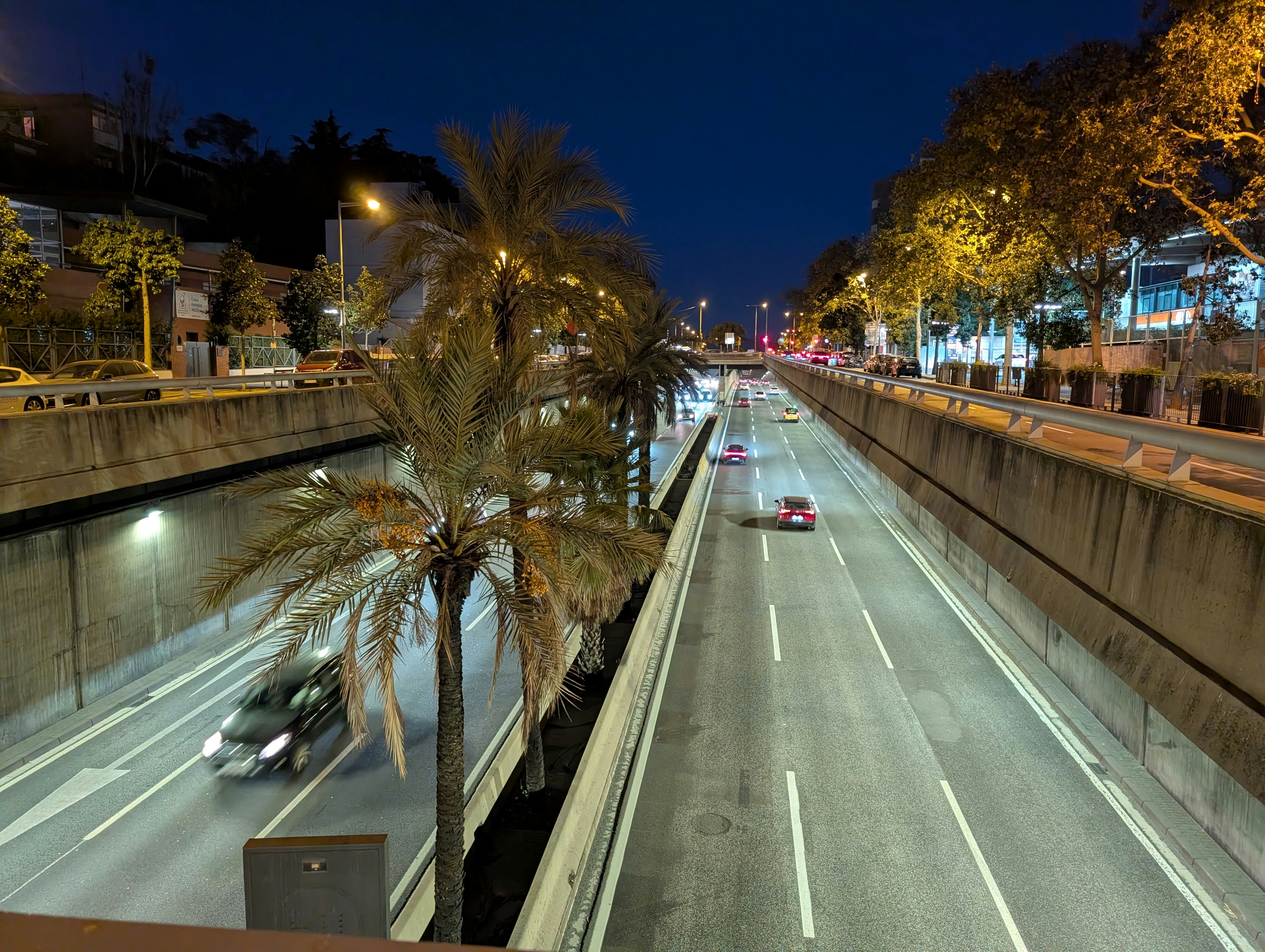 Nightway: Palm Trees and Highway Lights in a Neon City