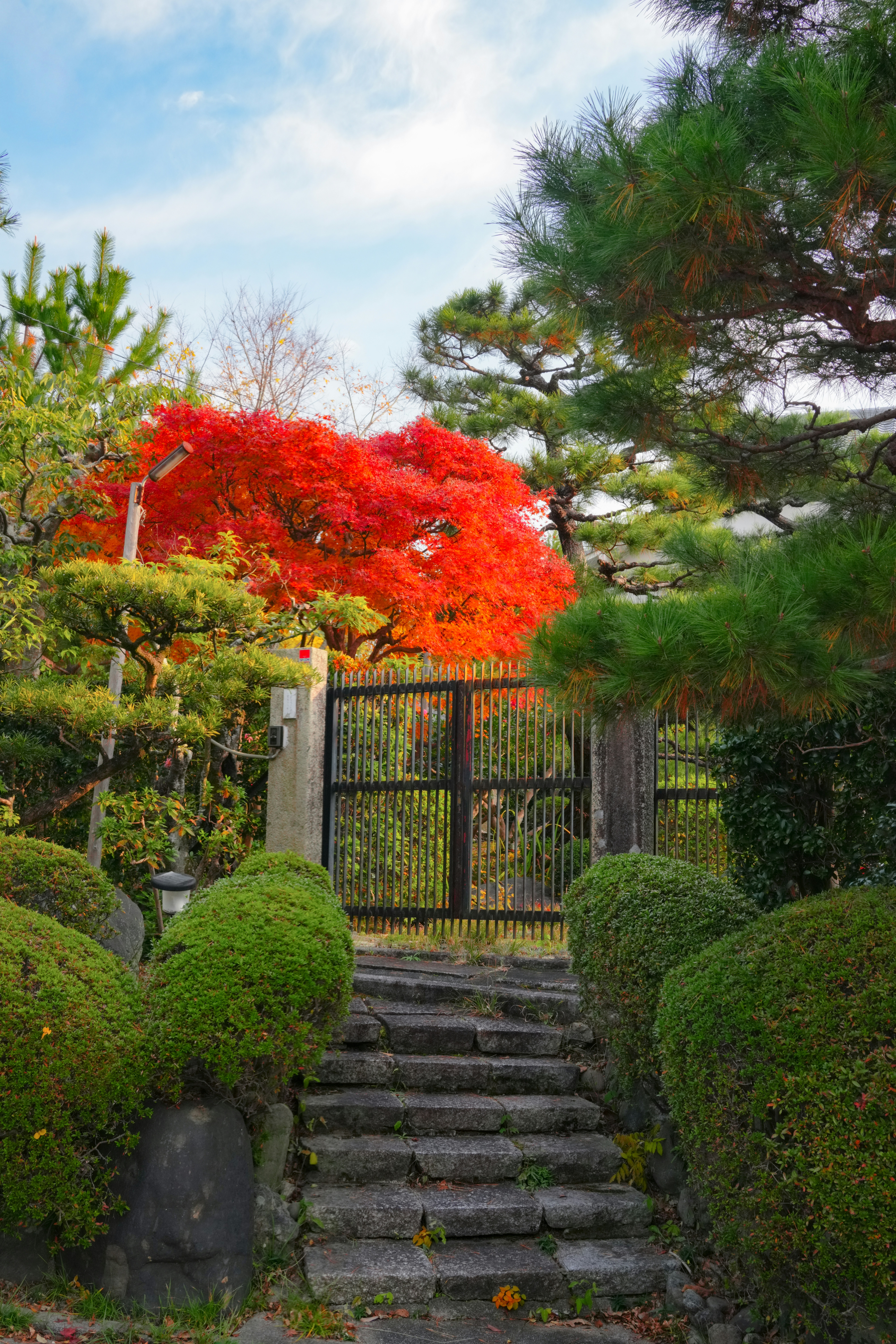 Red Maple Gate: A Green Path Framed by Foliage