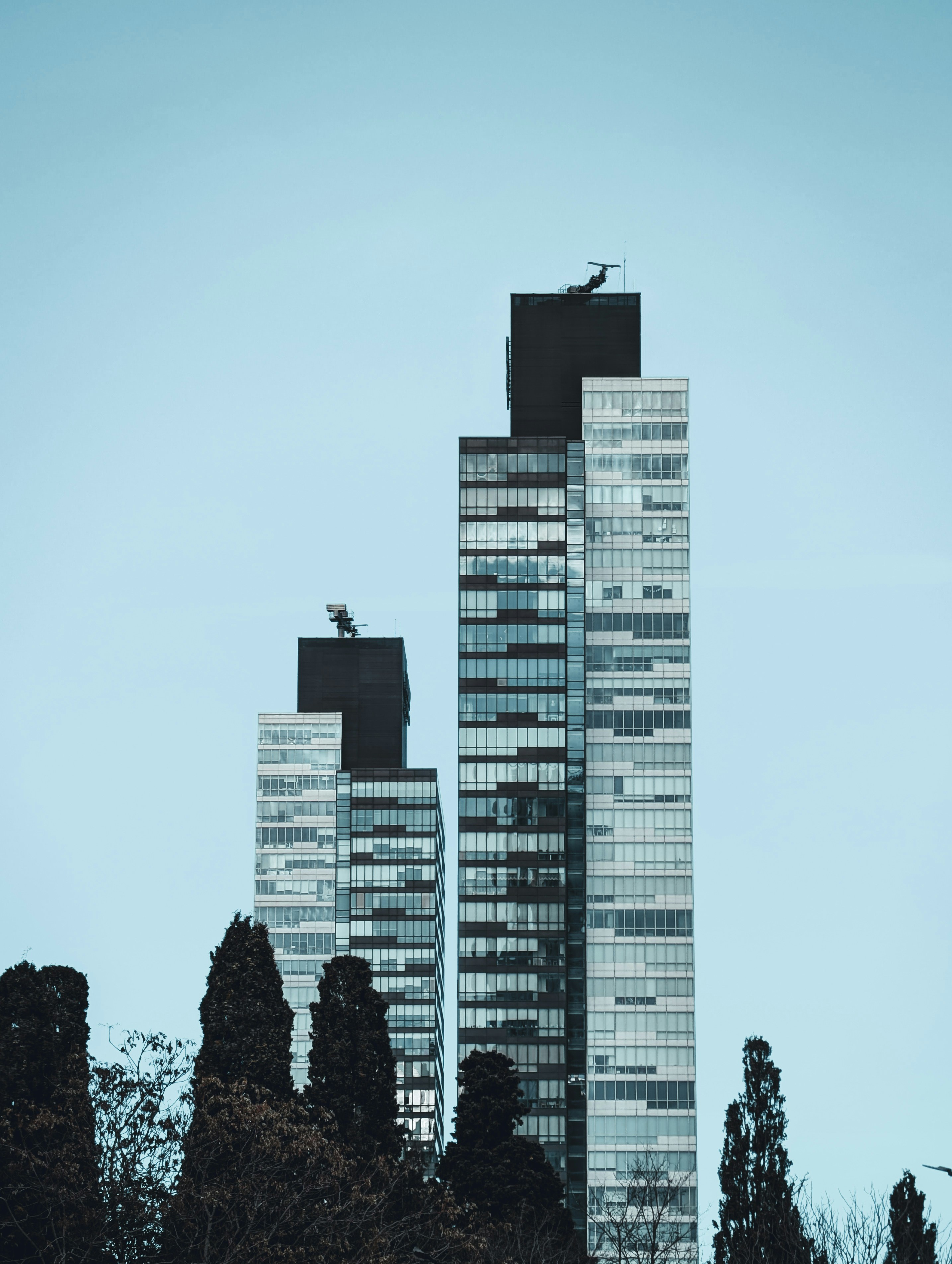 Skyward Neighbourhood: Glass Towers Rising from Crowned Pines