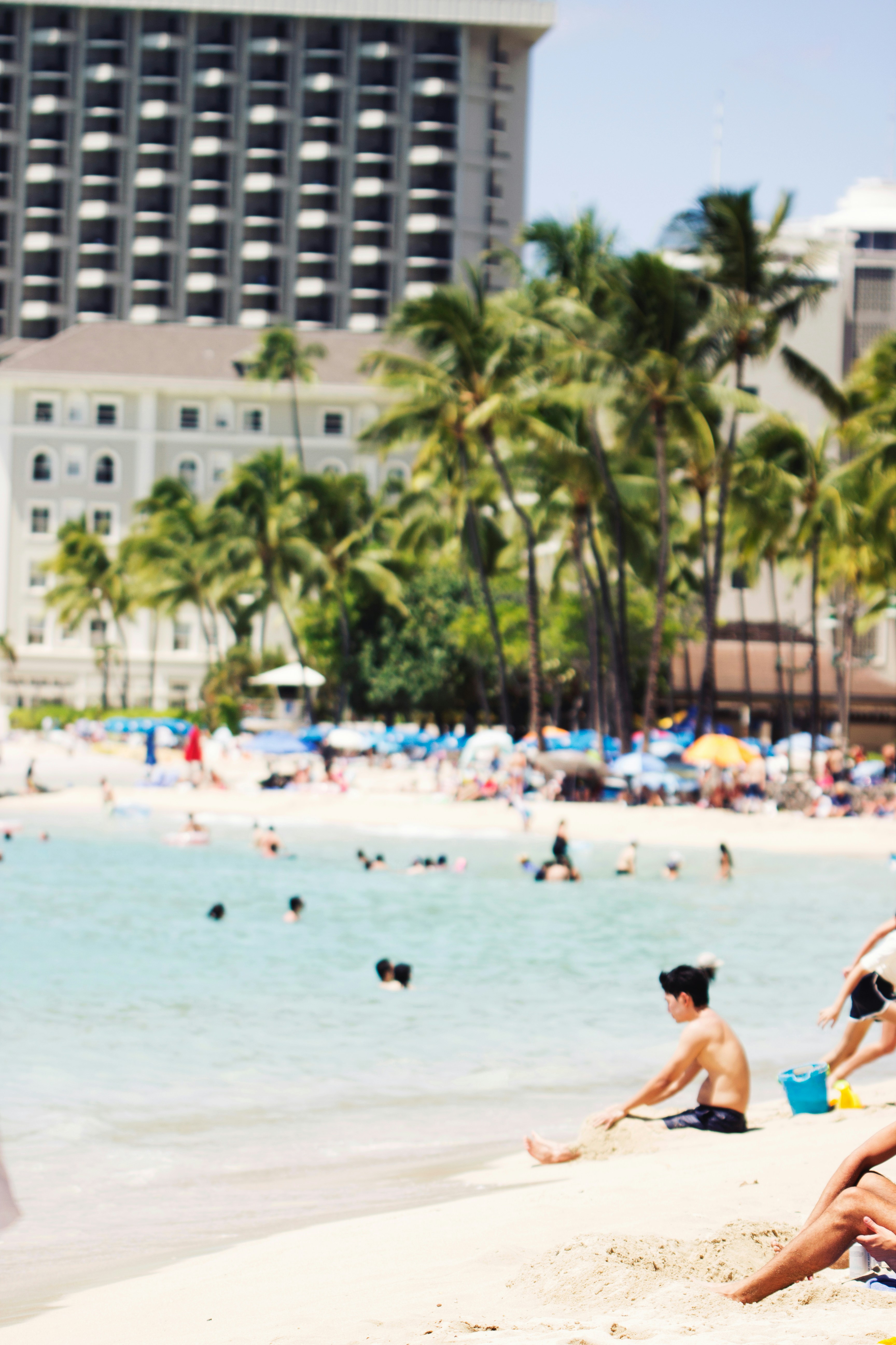 Sunlit Beachfront with Palm-Shadowed Waters and Resort Backdrop