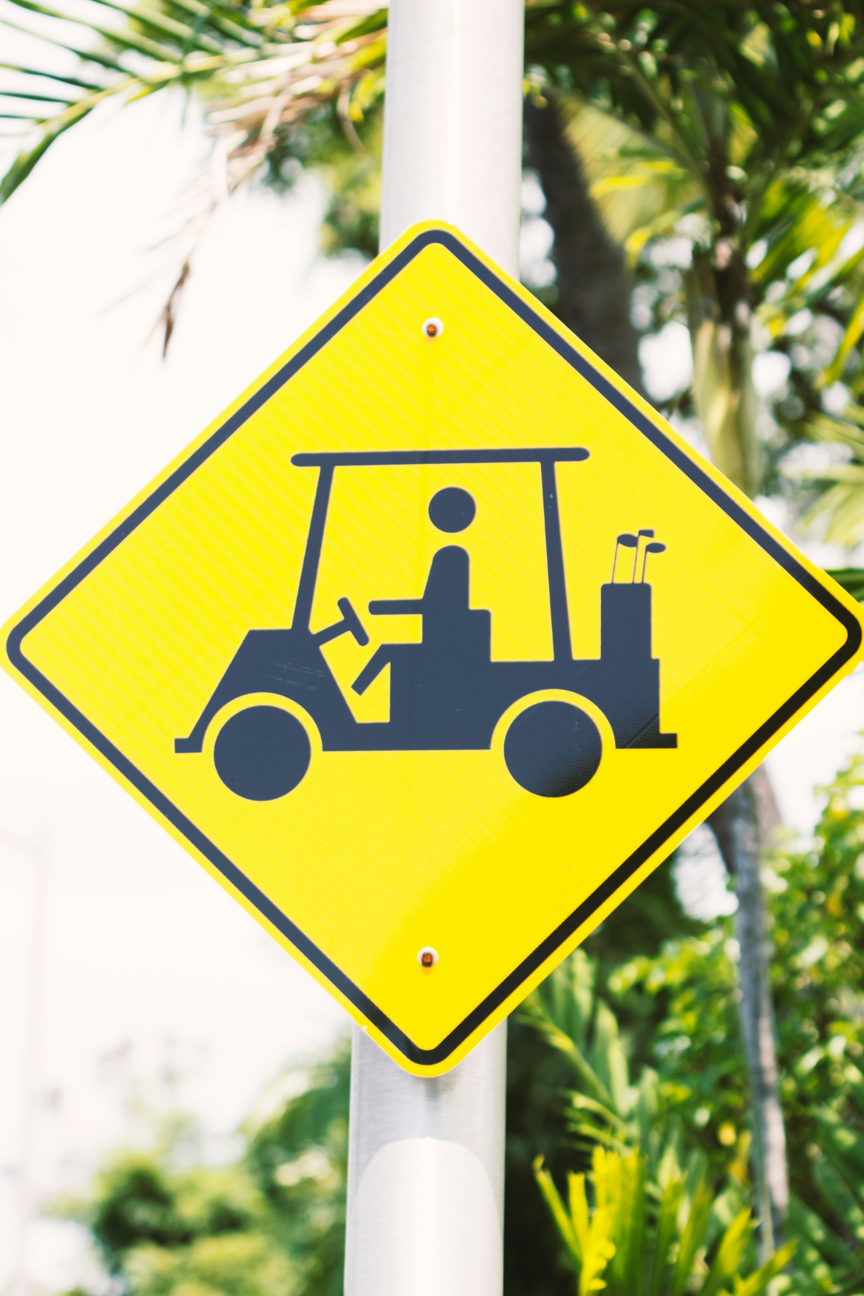 Yellow Warning Sign: A Tractor on a Pole in Bright Palm-Filtered Light