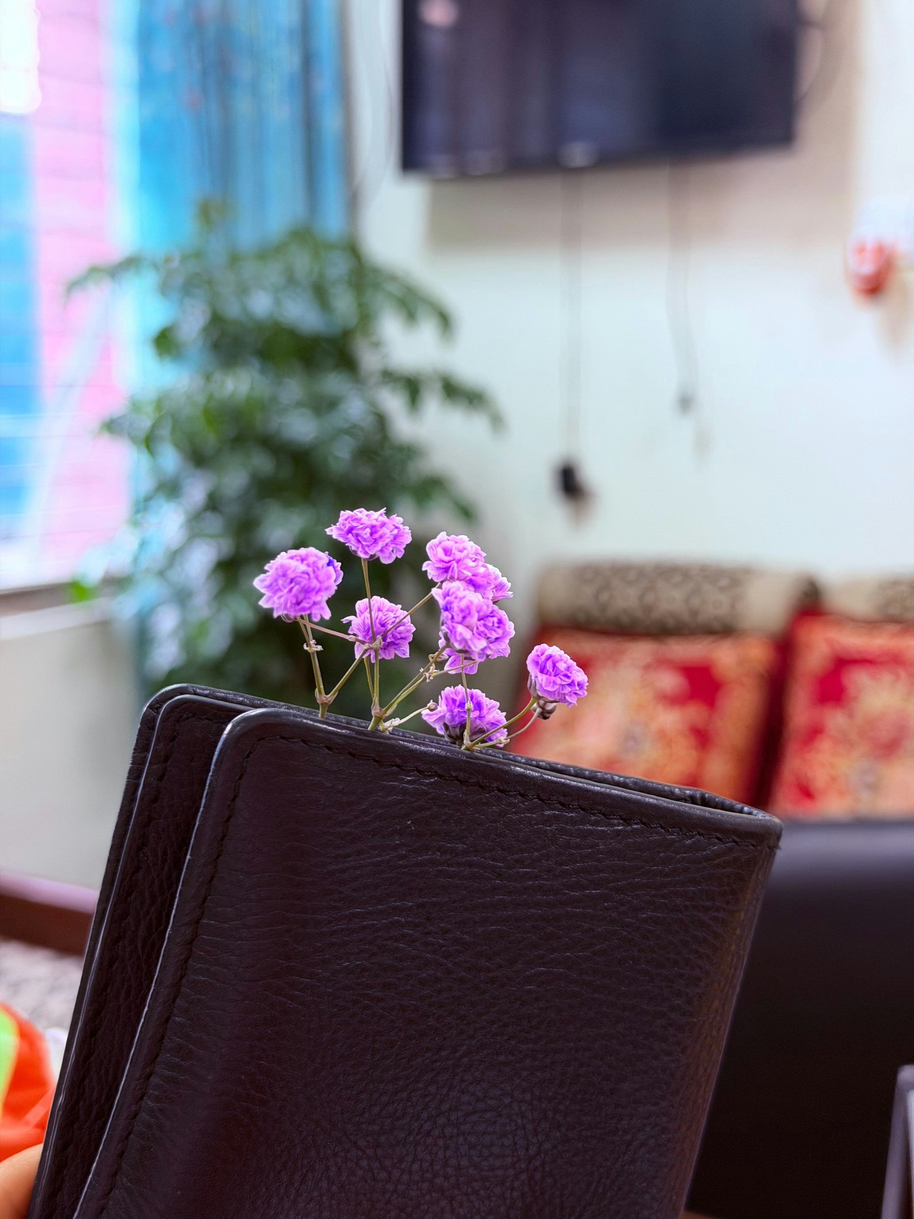 Pastel blossoms perched on a leather portfolio in a cozy living room