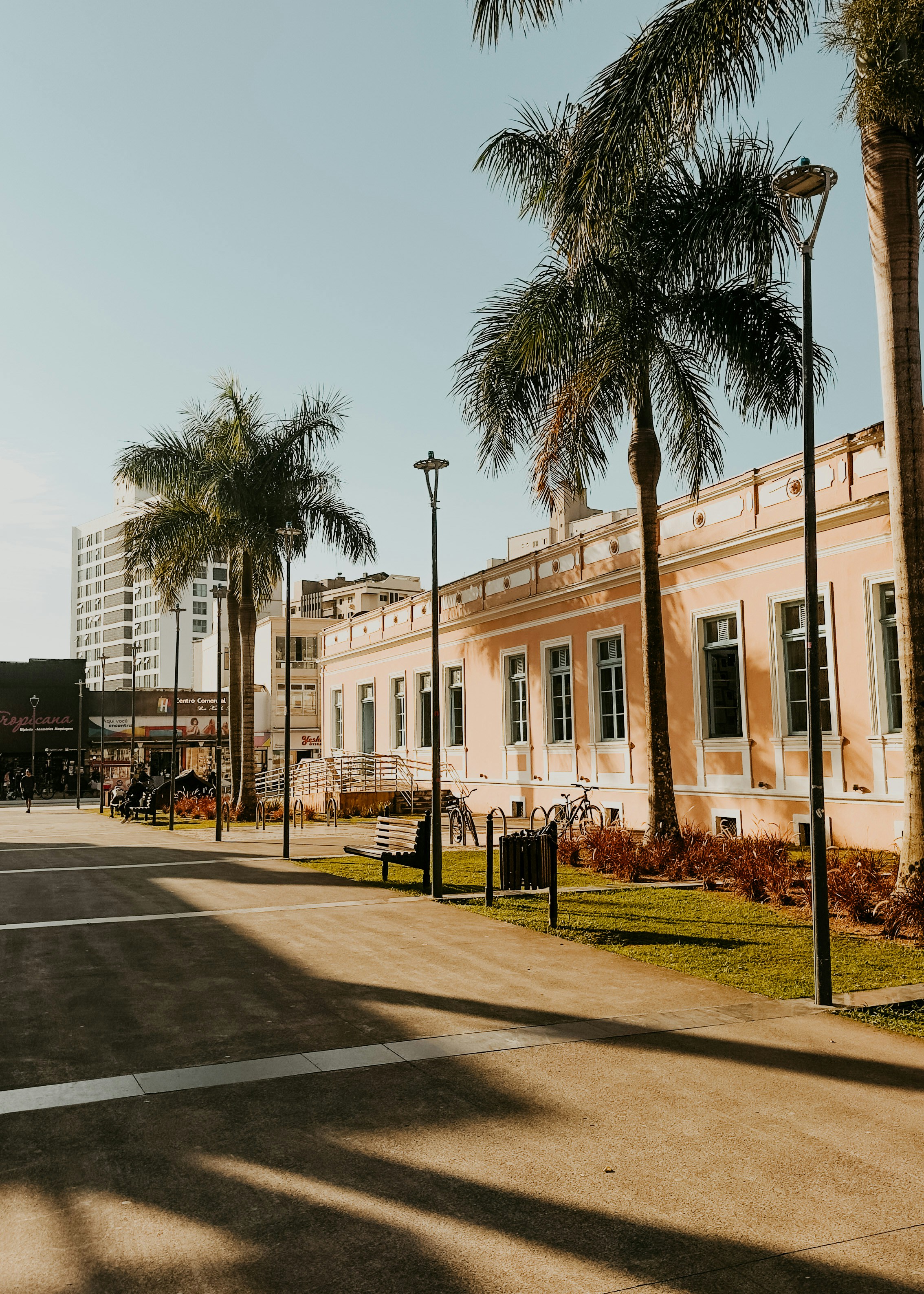 Sunlit Palm Boulevard: A Quiet Coastal Plaza