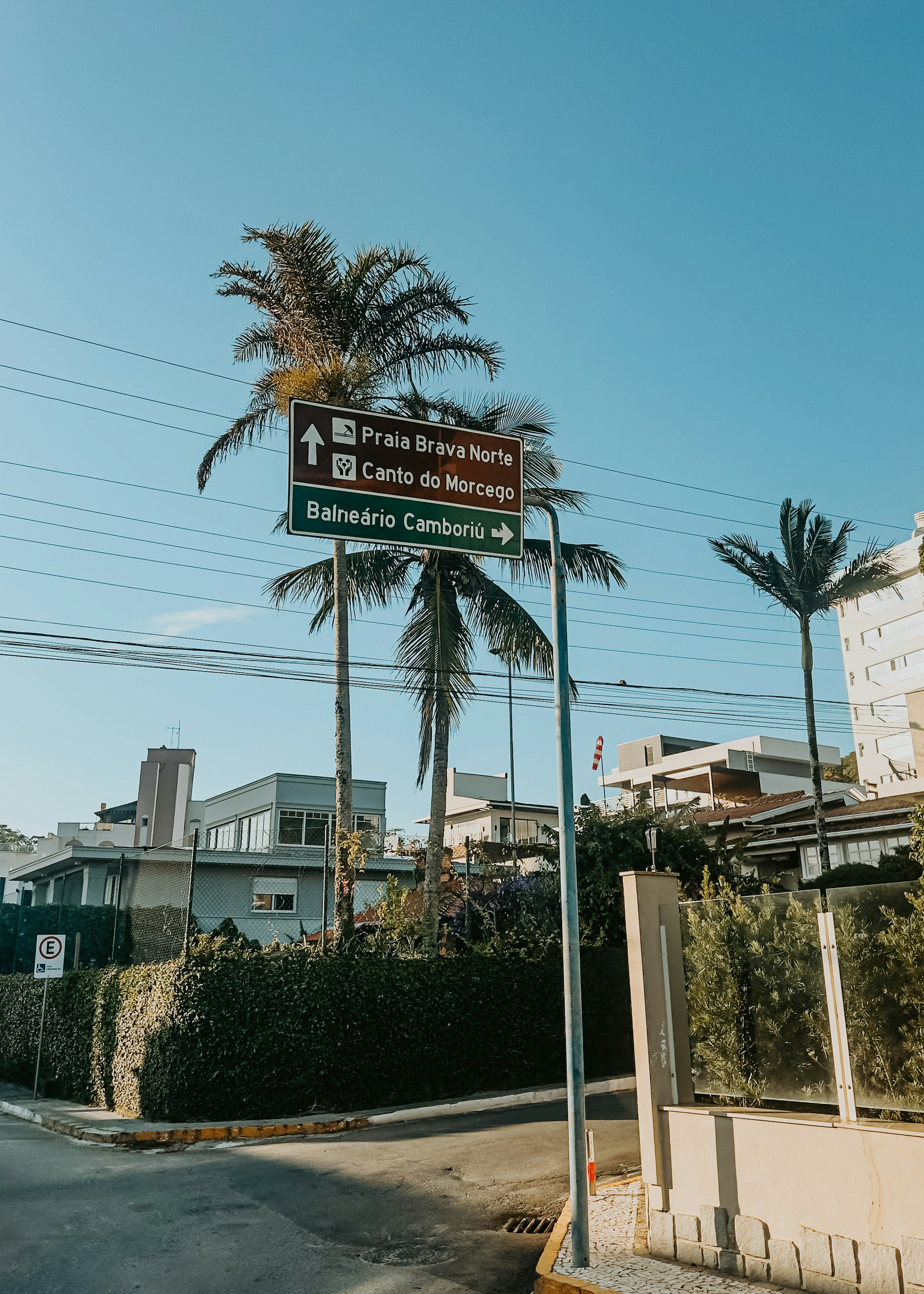 Signpost by palms: directions under a clear Brazilian sky