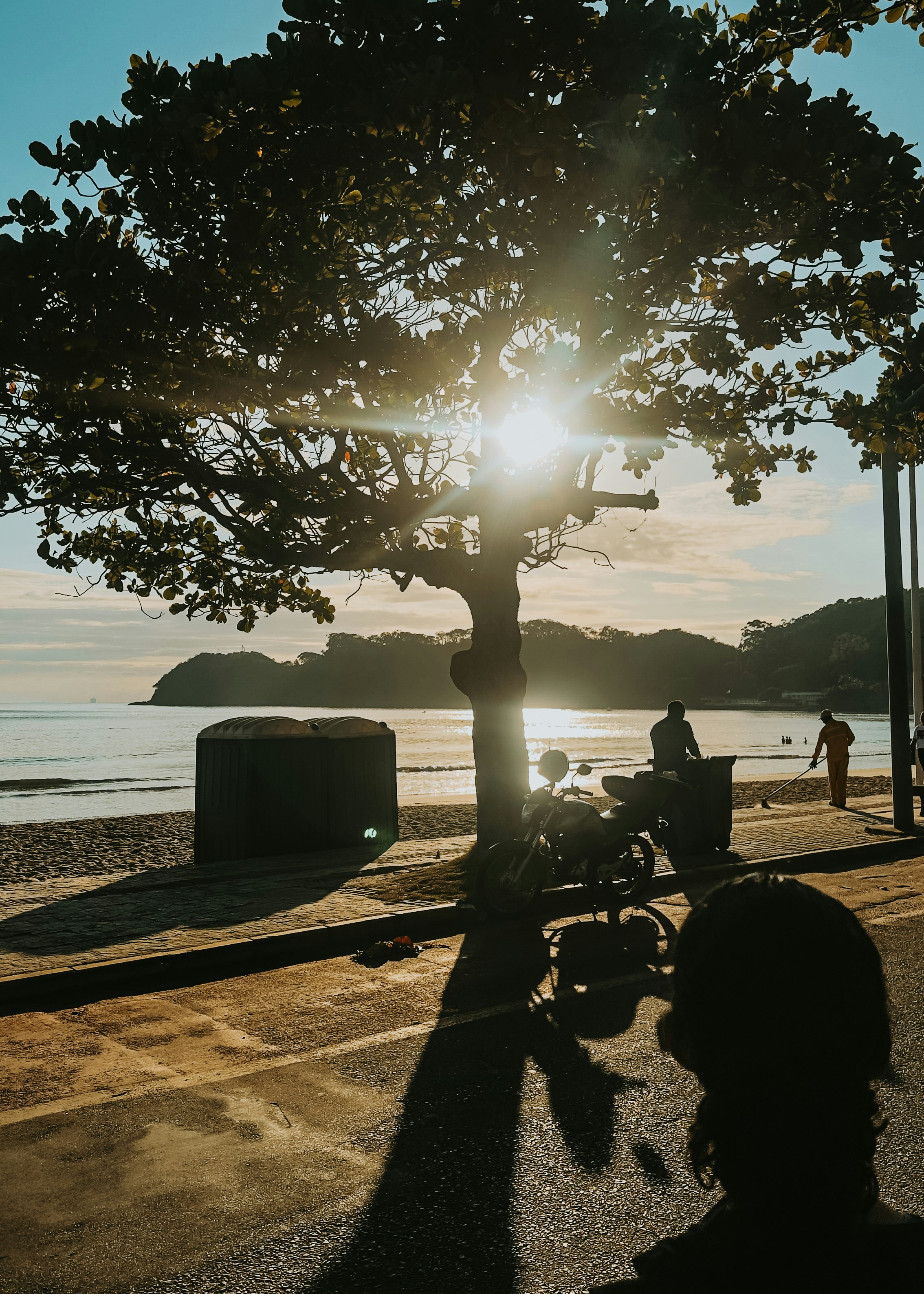 Sunlit Beachside Moment Behind the Tree