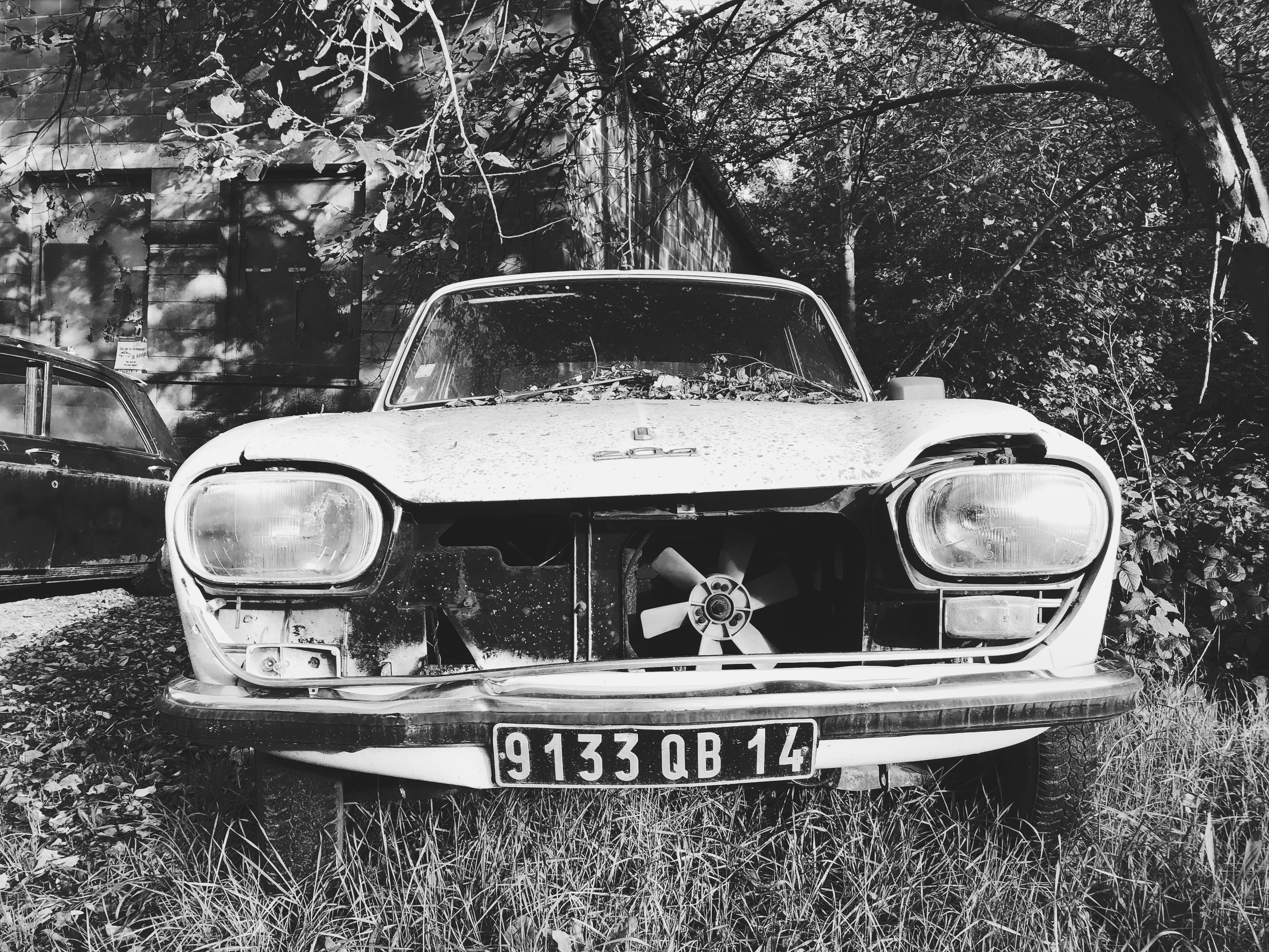 Decay at the Grill: A vintage sedan guardingly overtaken by grass and time