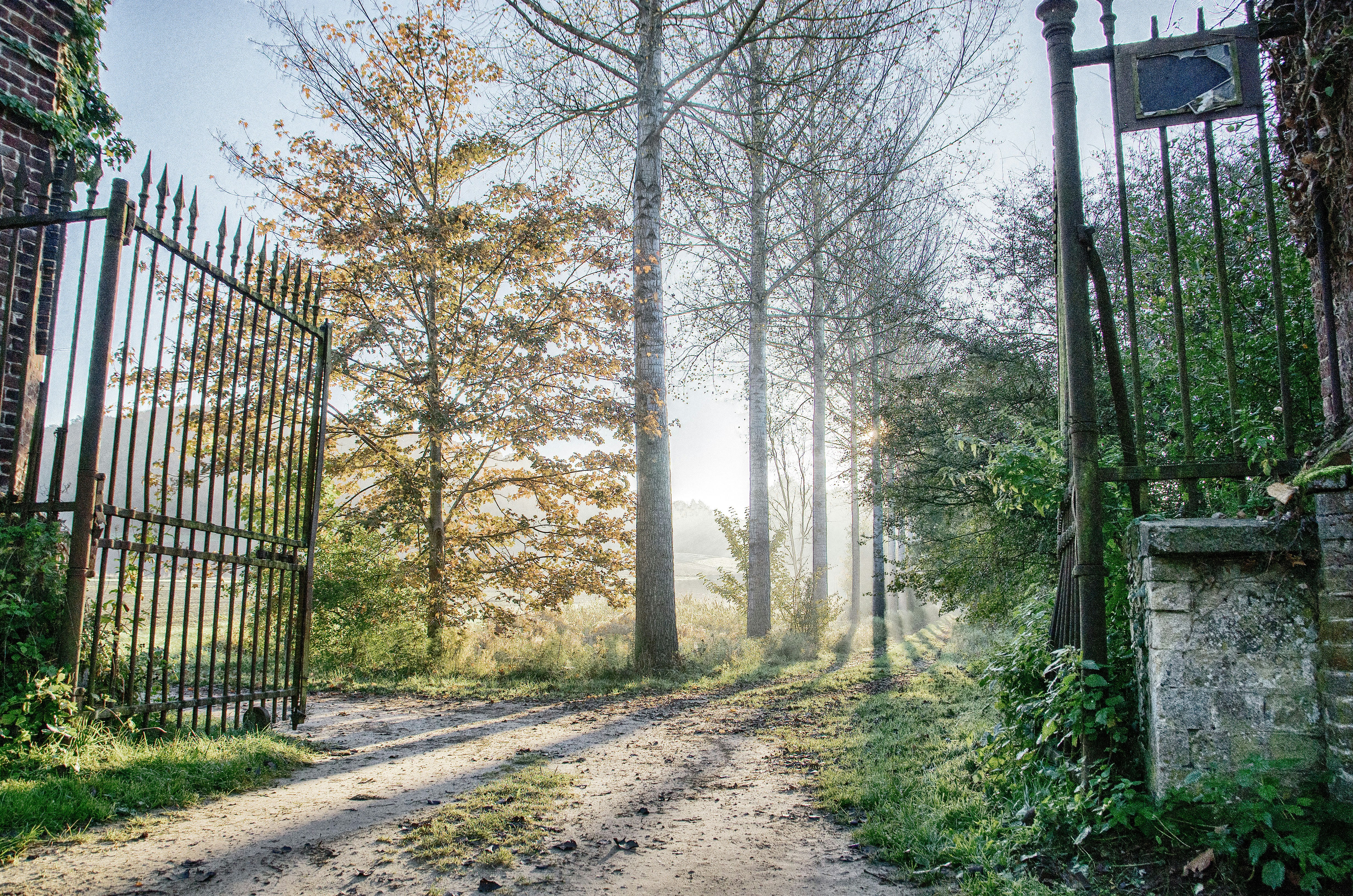 Sunlit Path Through a Quiet Park Gate