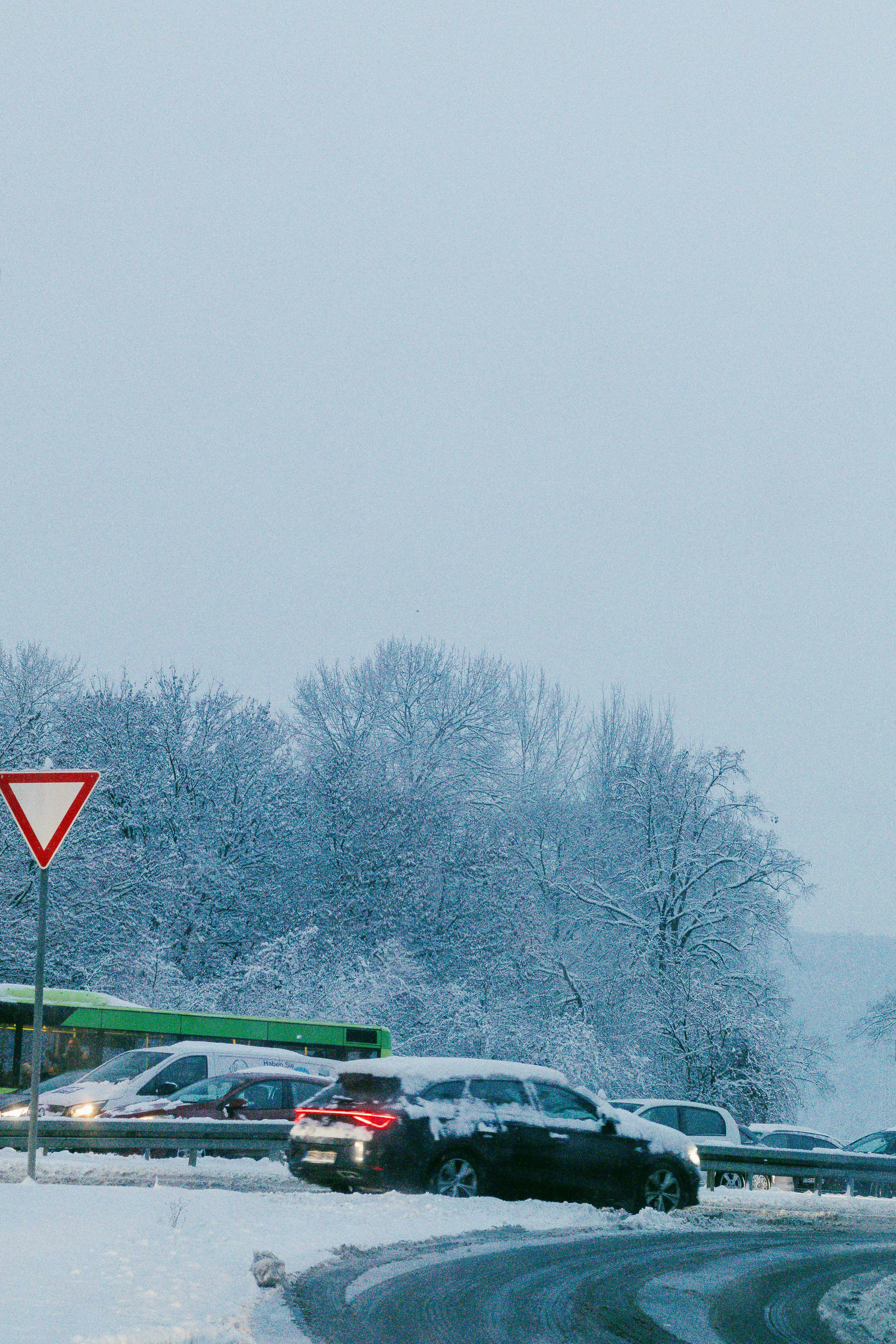 Winter Highway Stop: Cautious Transit Amid Snowbound Trees
