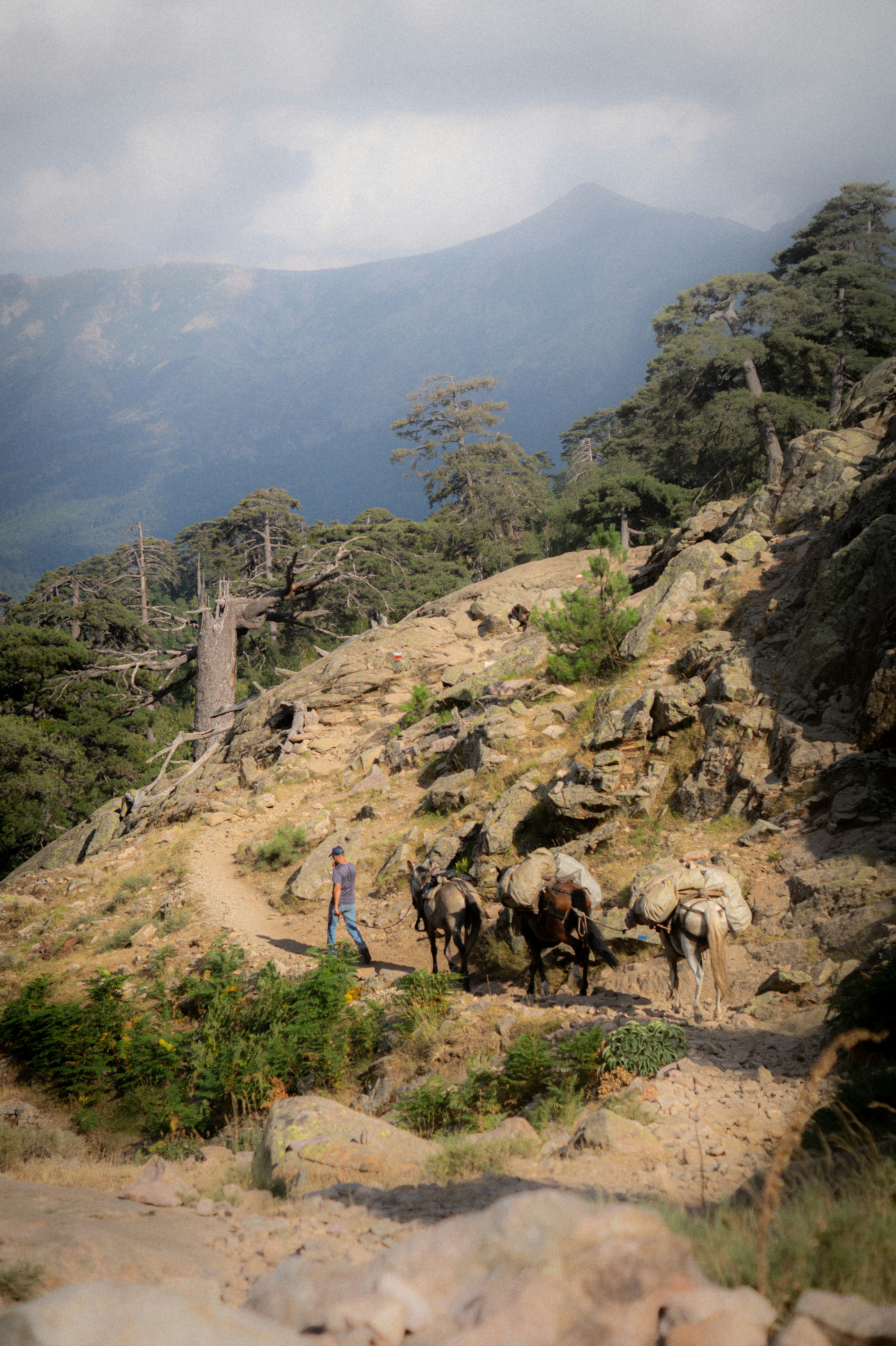 Trail Bosses and Pack Mige on a Rocky Ascent