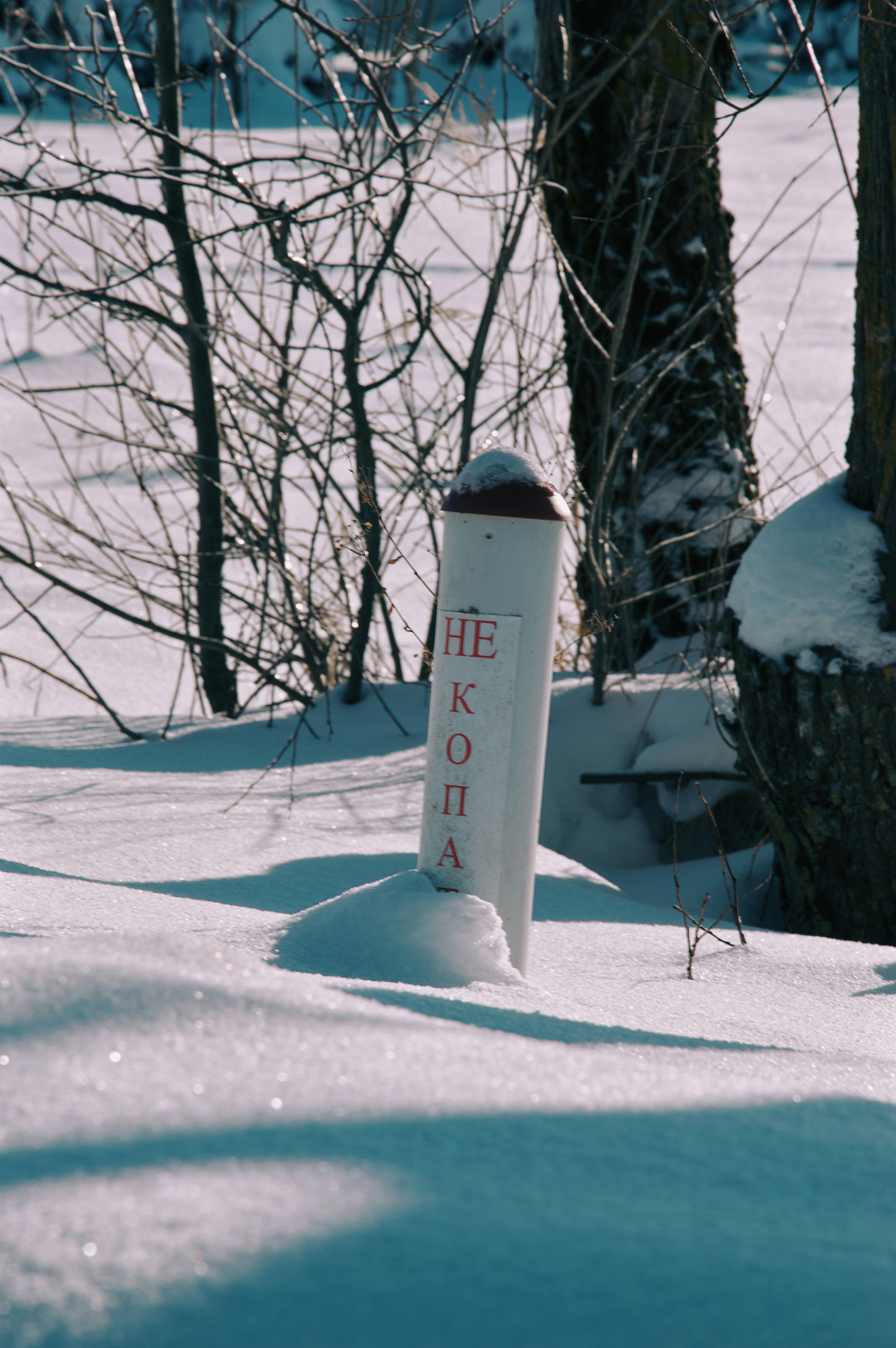 Snowy Cemetery Marker: Red Cyrillic Letters Rising from the White Drift