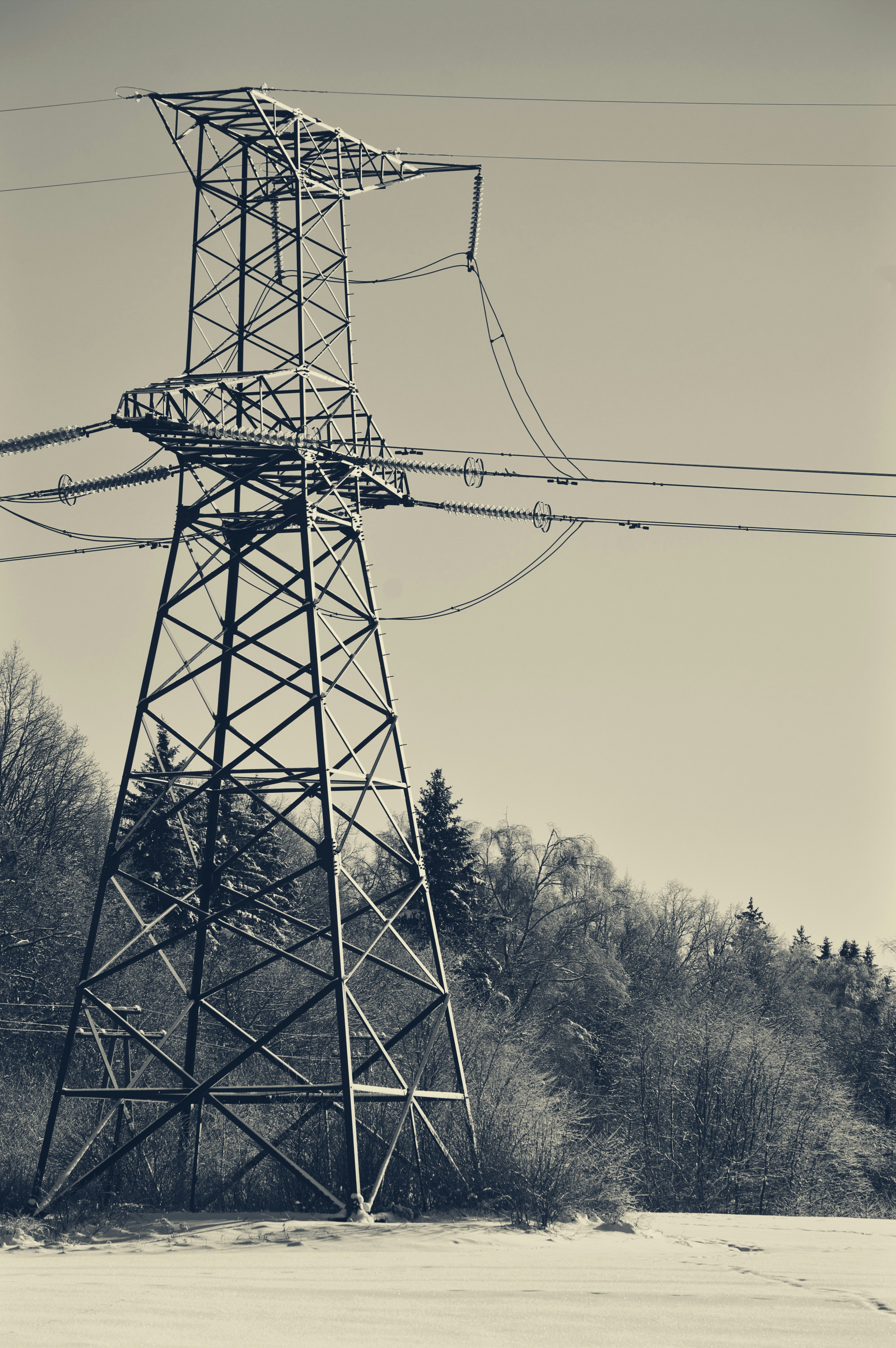 Towering Lattice: Power Lines Carve a Winter Silence
