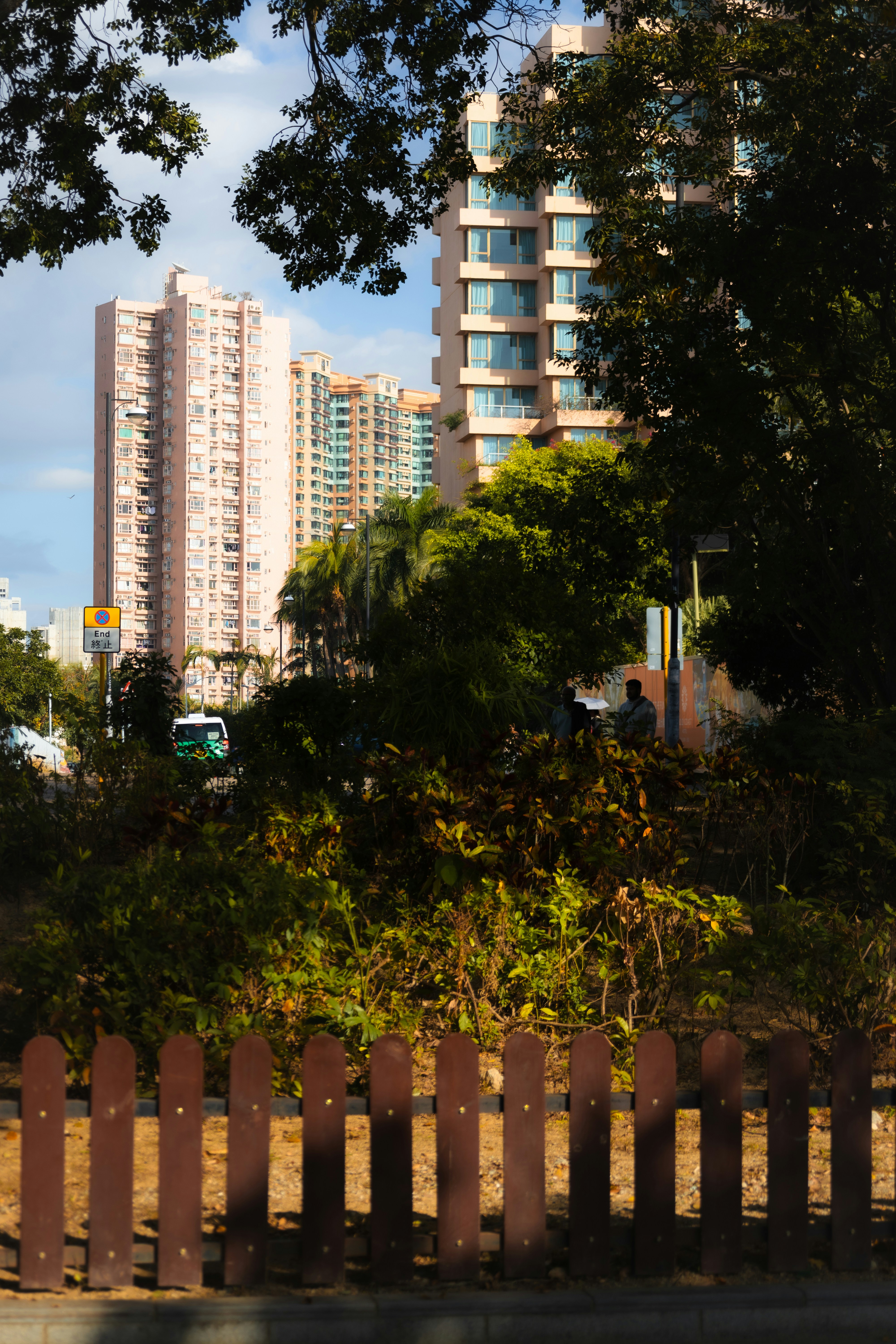 Urban canopy over a sunlit street