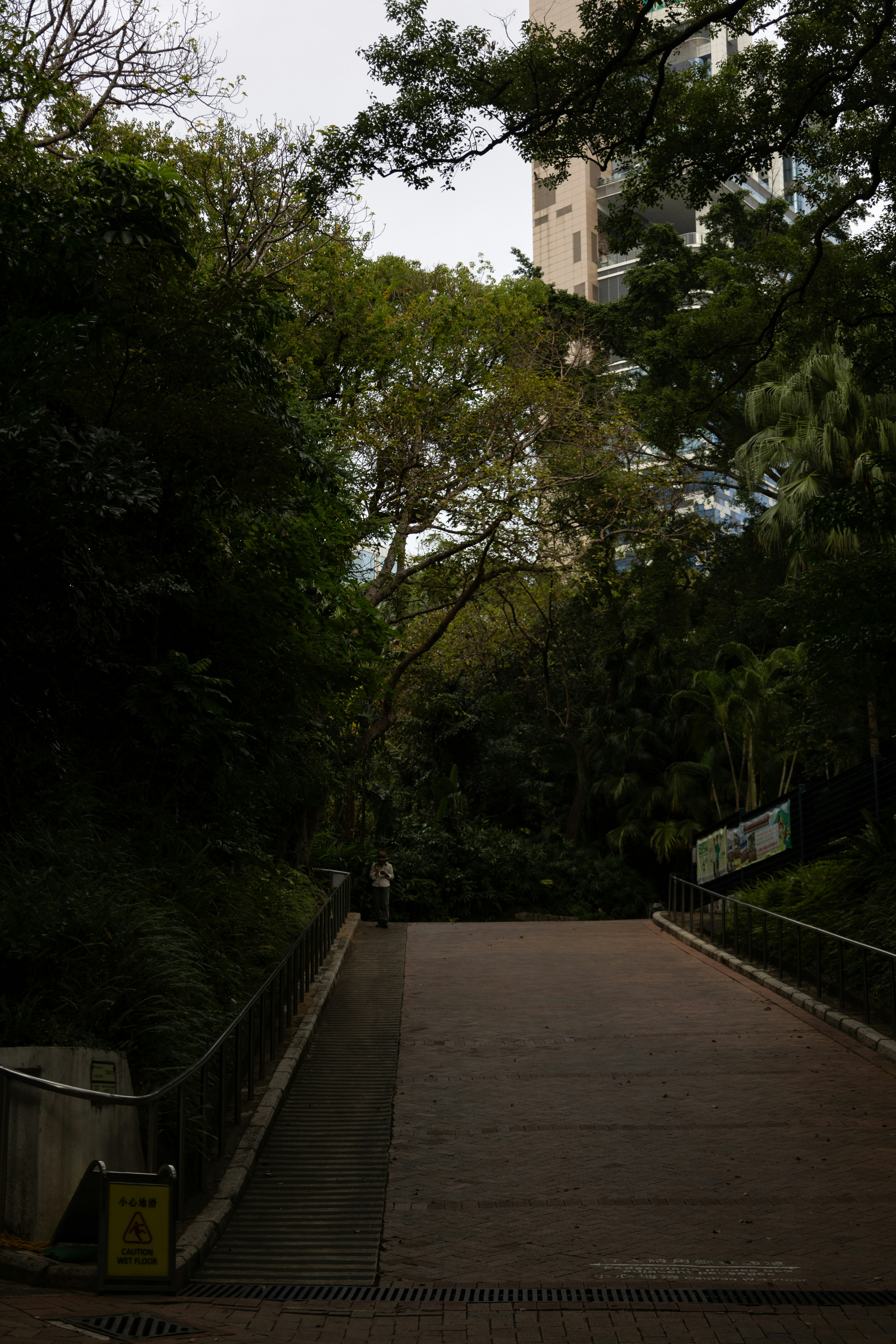 Urban Pathway Surrounded by Quiet Greenery