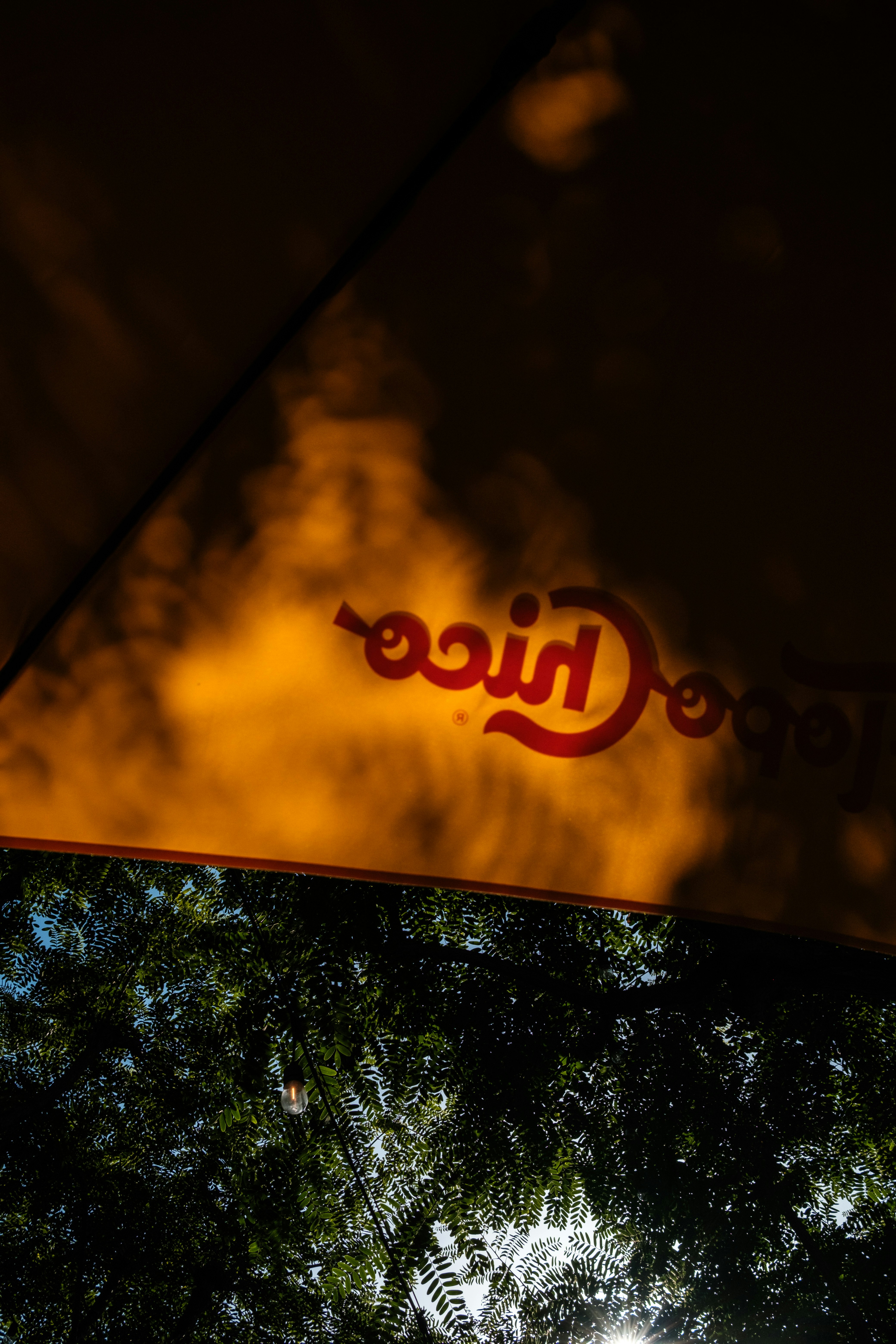 Upside-Down Brand Echo: Neon Orange Reflections on Glass