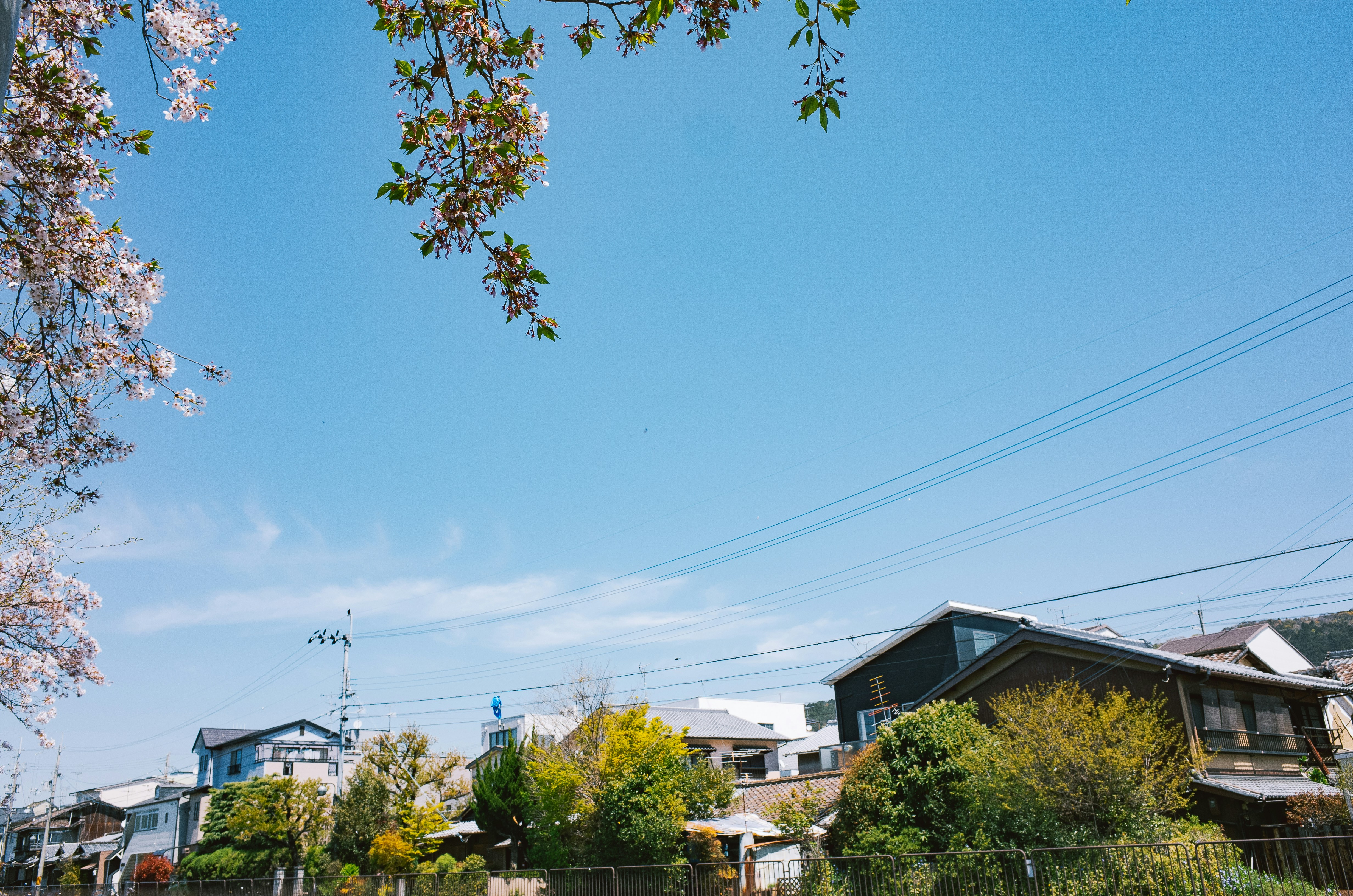 Suburban Rooftops Under a Clear Blue Sky