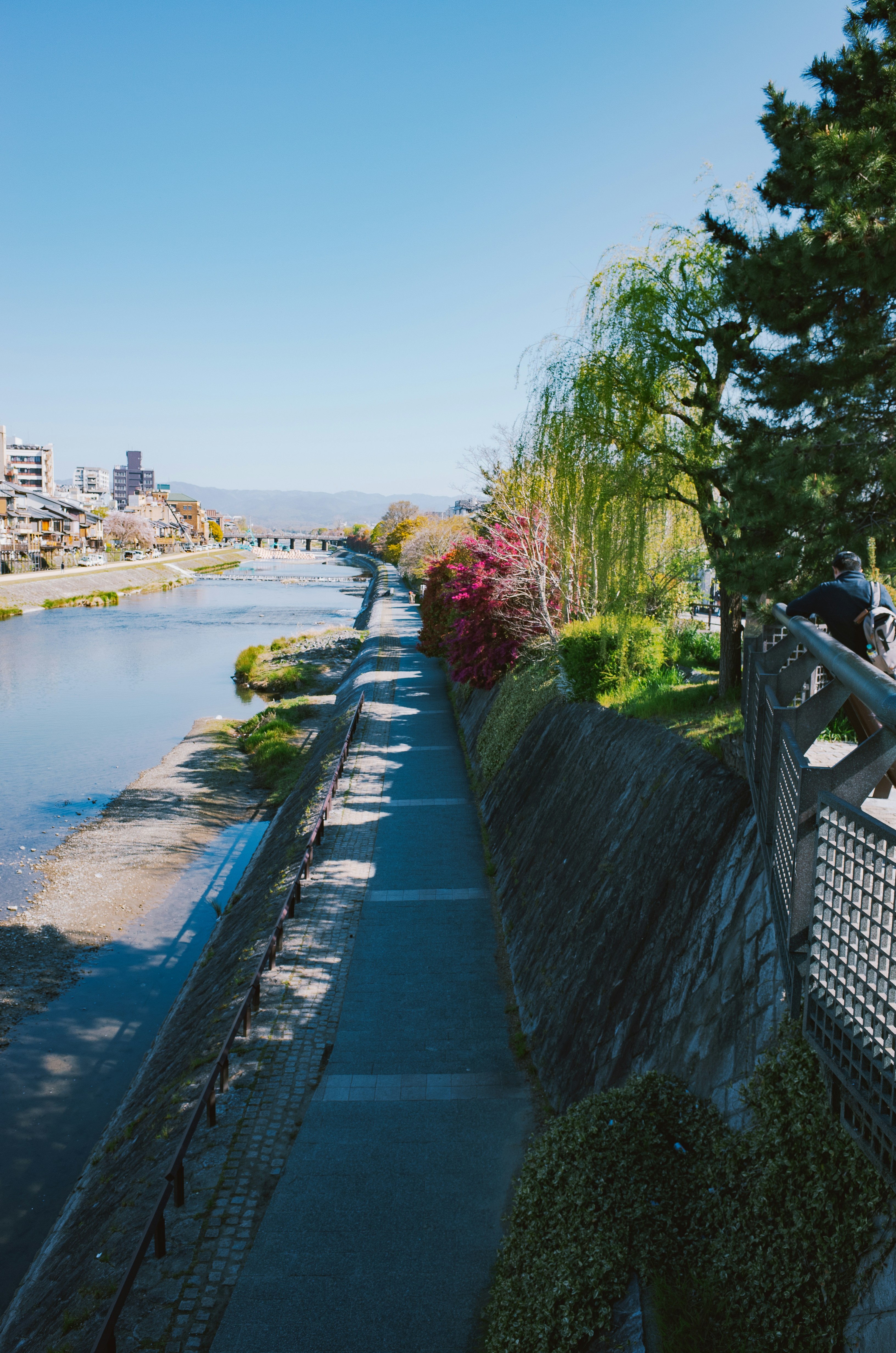 Riverwalk in Dappled Light: A Quiet Rise Along the Water