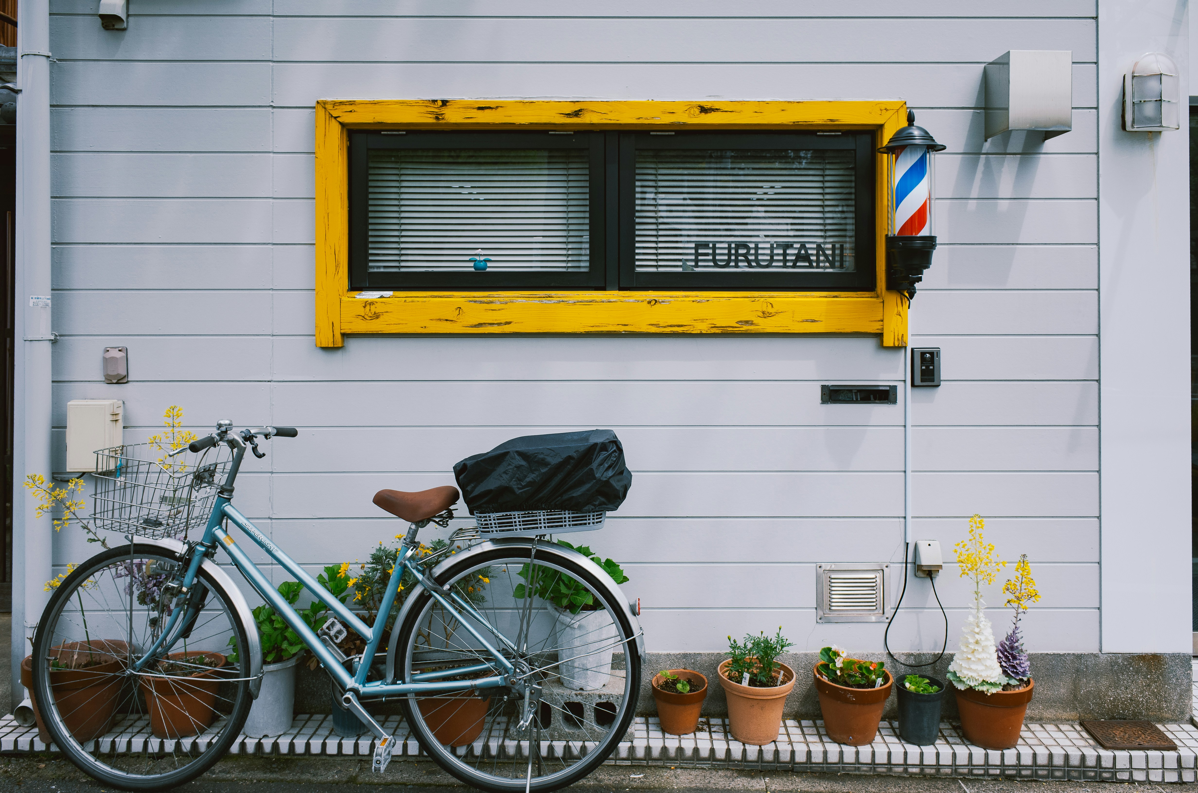 A Quiet Streetfront: Bicycle and Potted Plants in Front of a Pale Blue Facade
