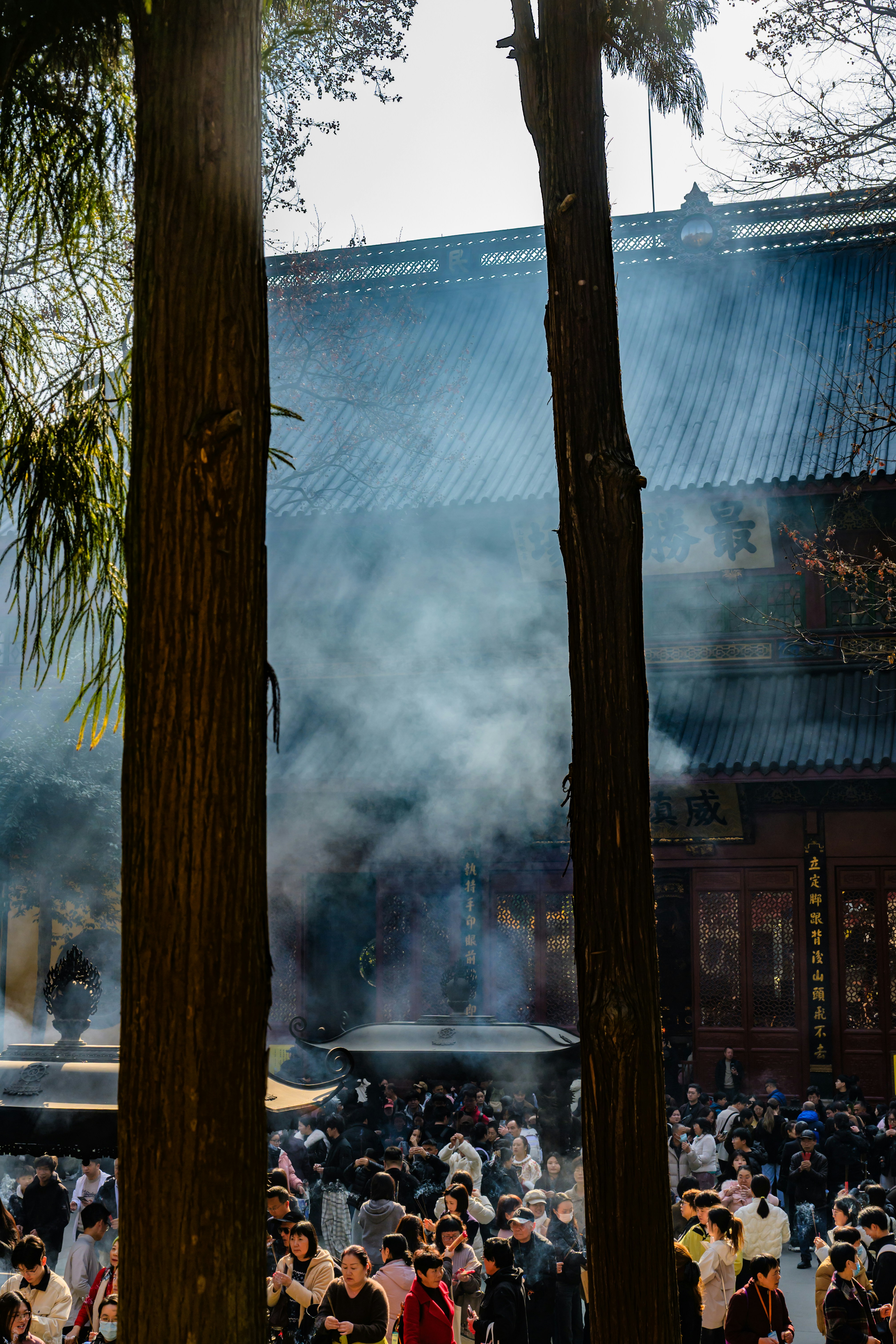 Temple Courtyard in Dappled Smoke: A Crowd Beneath Ancient Trees
