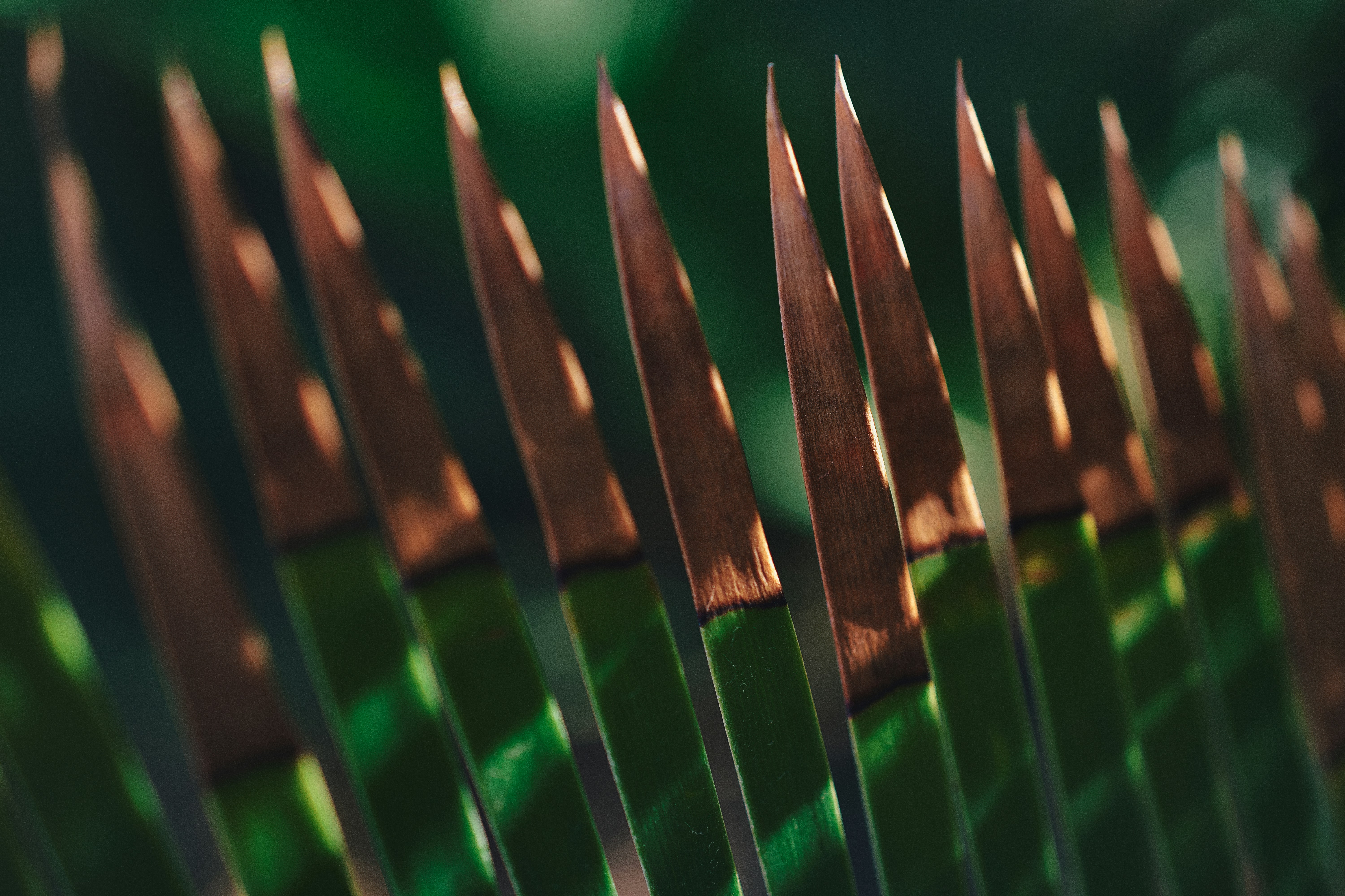Copper-tipped blades in a green glare