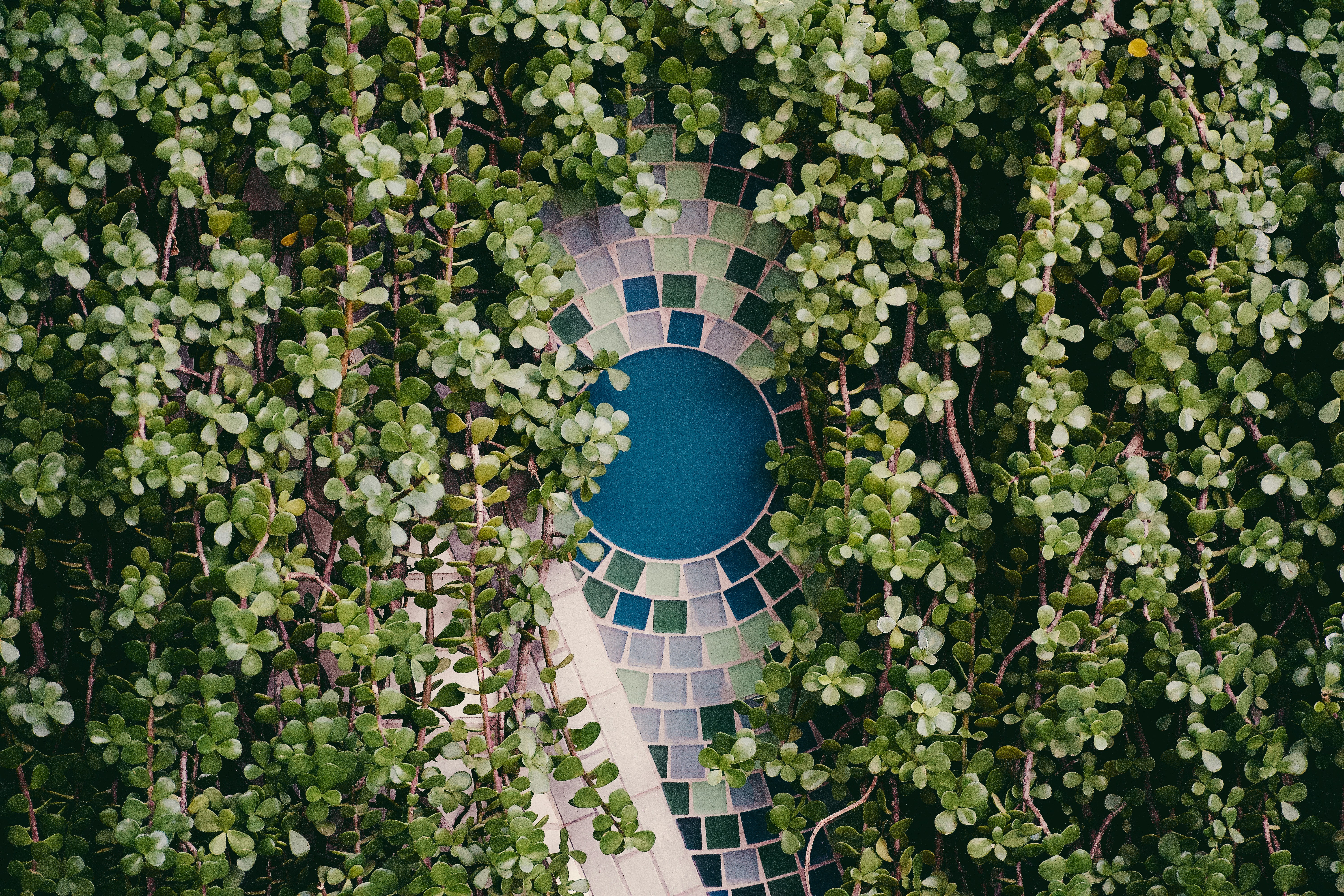 Central Blue Orb Nestled in a Mosaic Ring