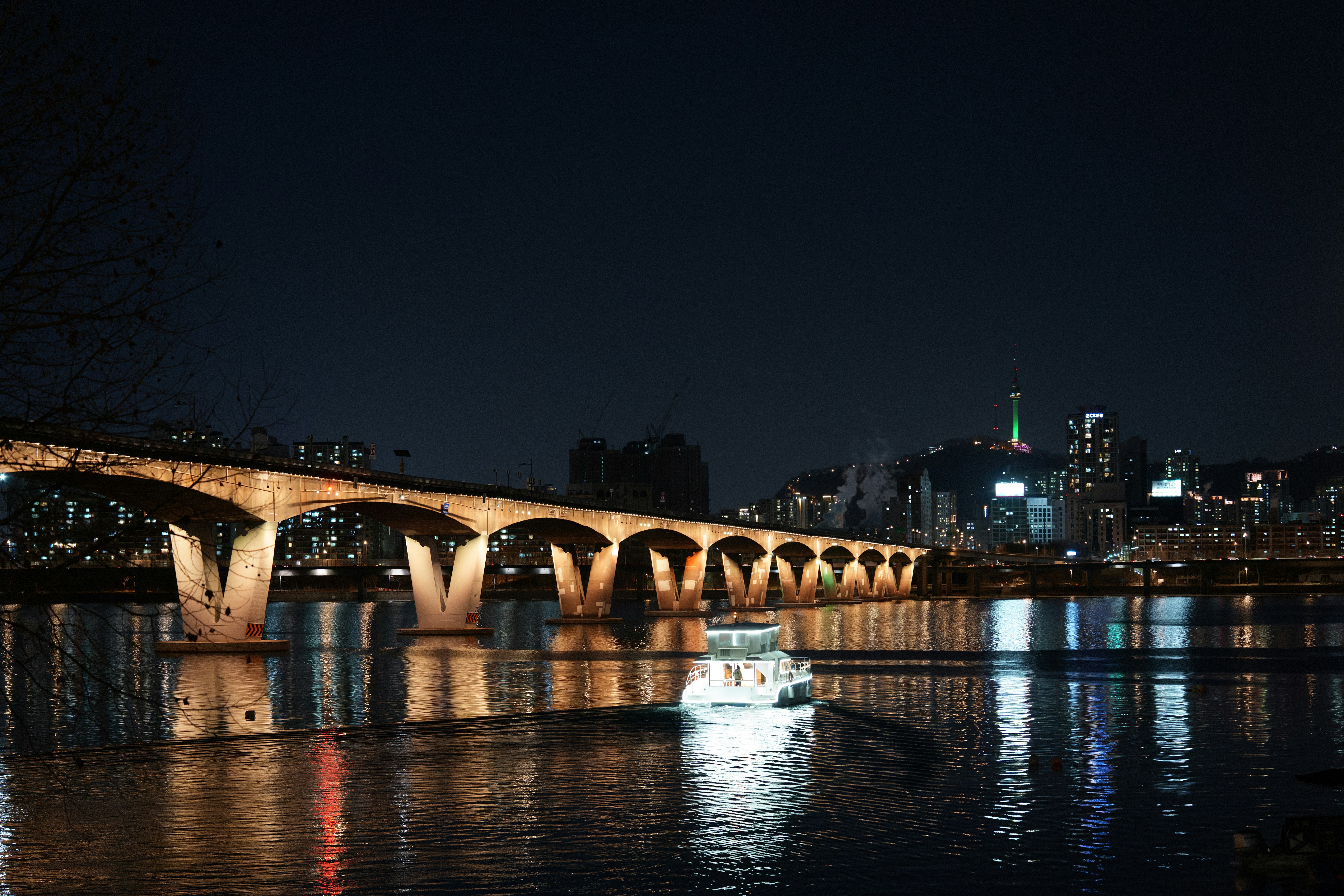 Night Ferry Under City Lights