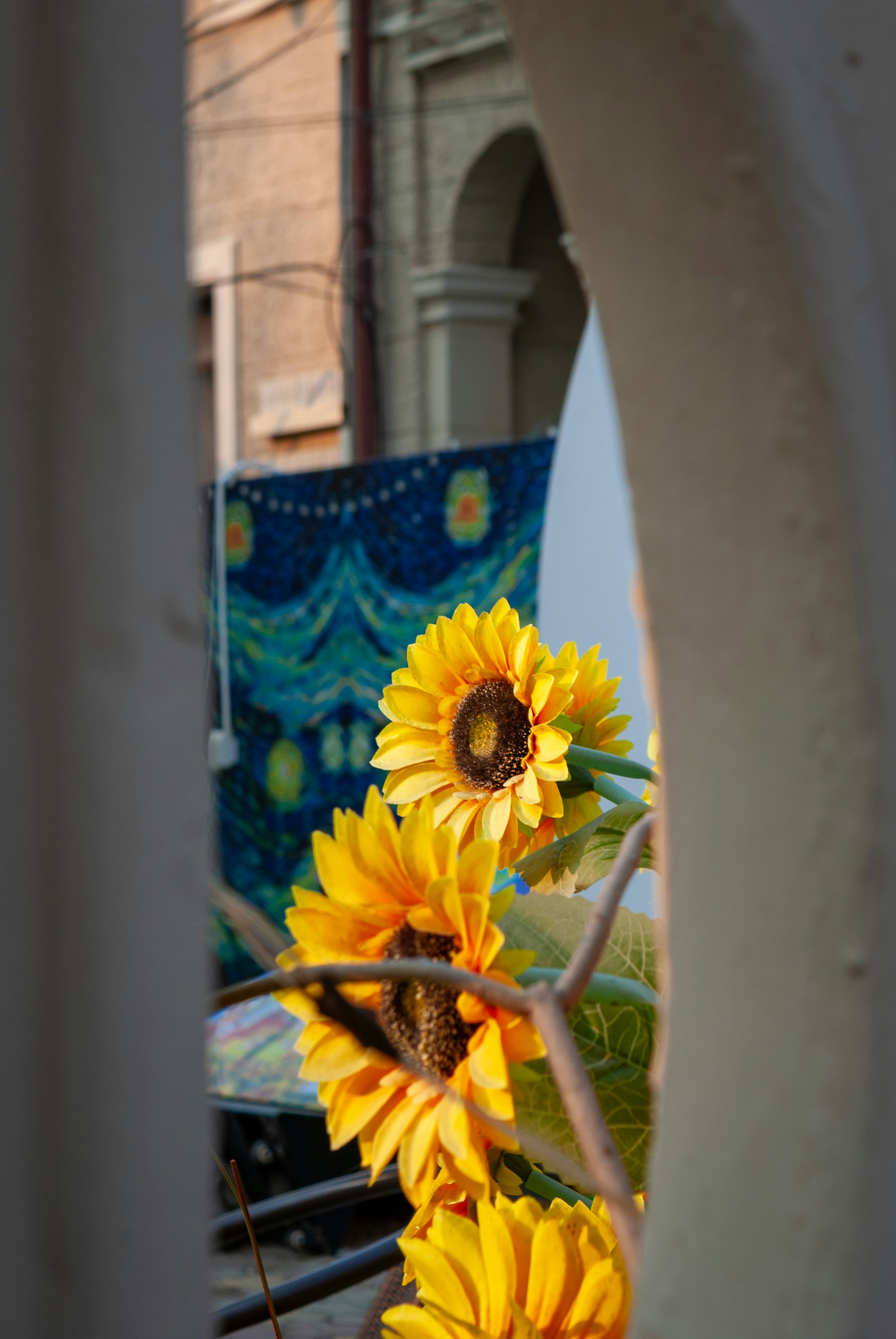 Sunflowers Between Stones: A Bright Fragments of the City