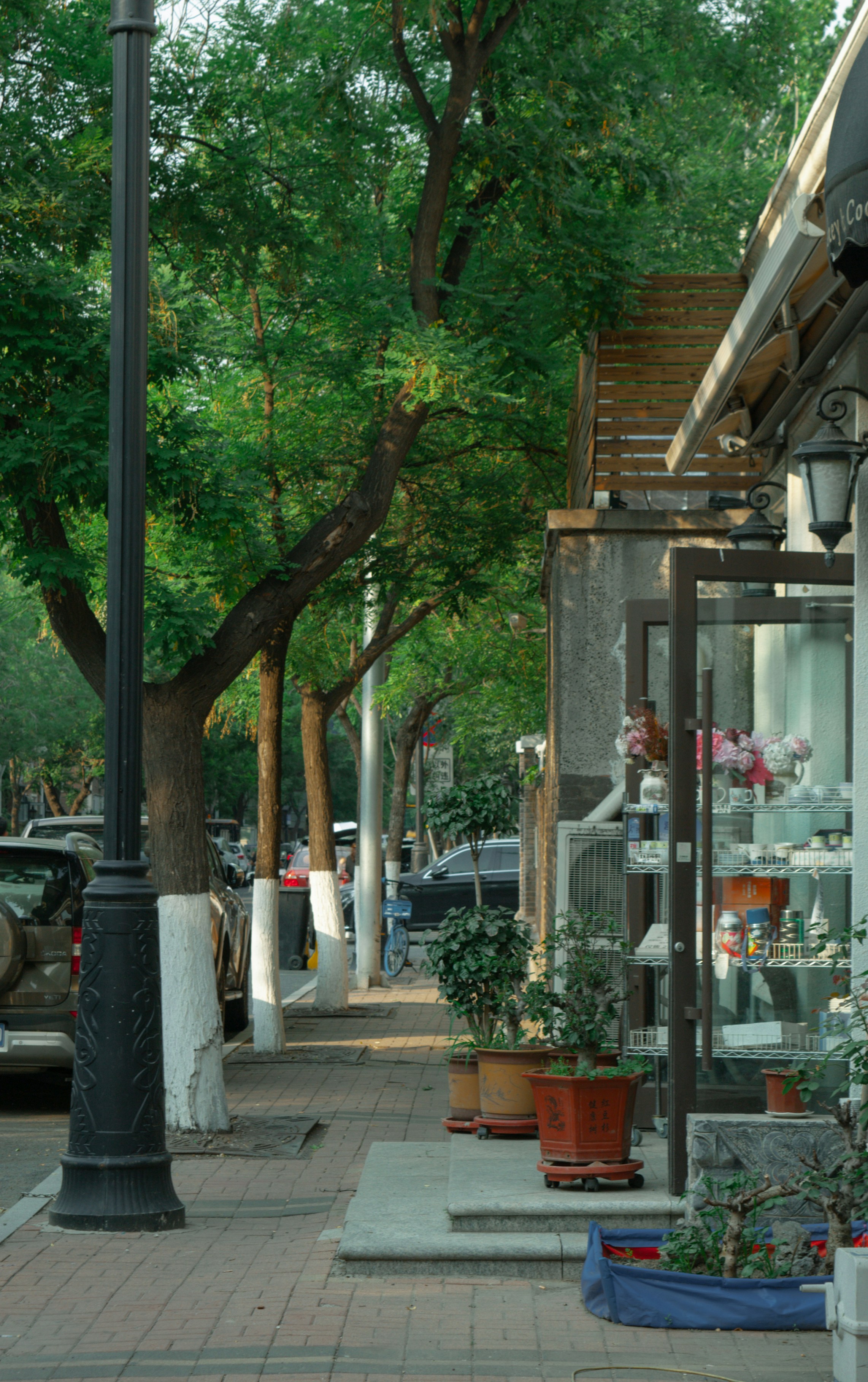 Sidewalk Bloom: A Quiet Urban Shopfront Framed by Green Canopy