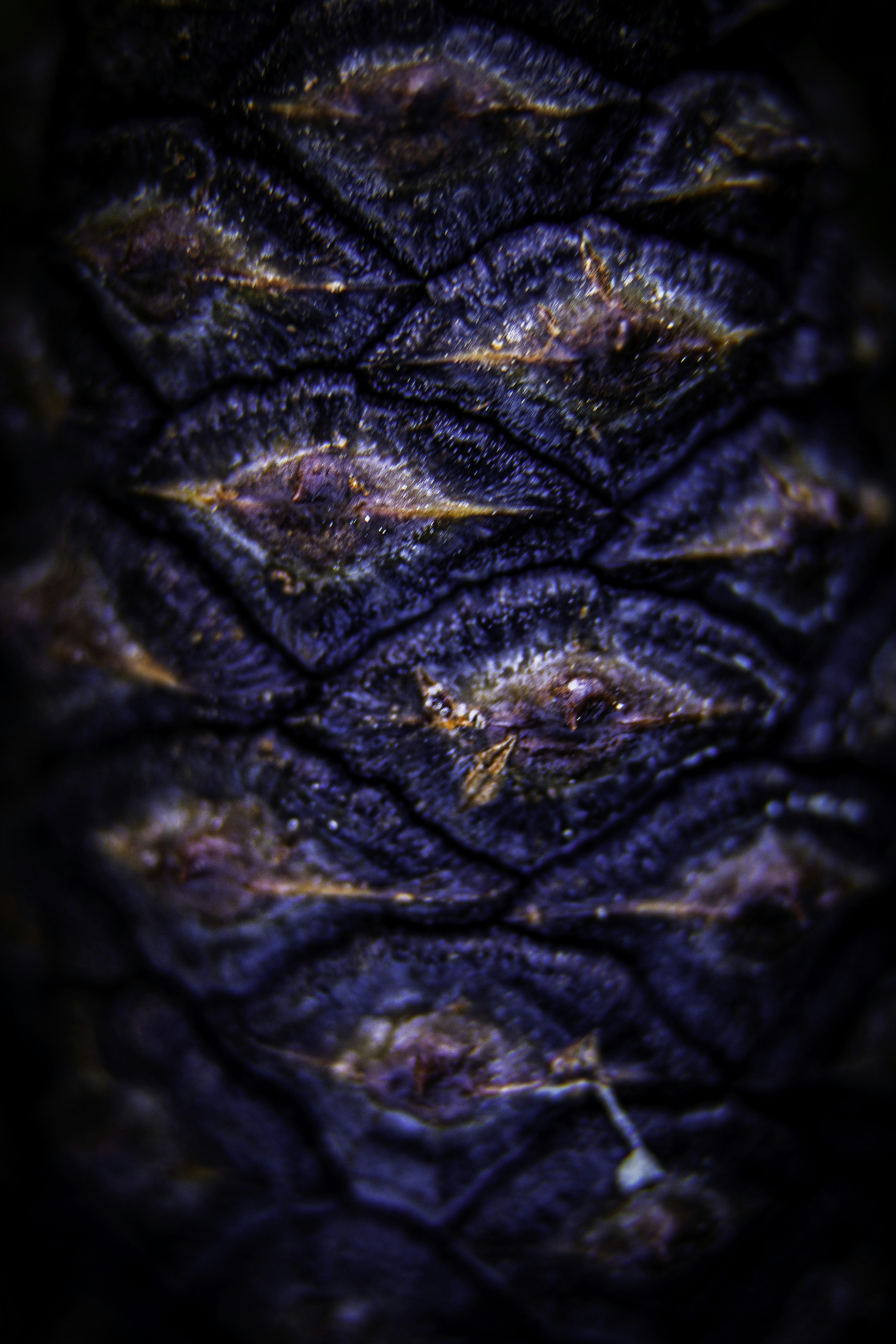 Crystalline Scales: A Macro Look into Indigo-Tinted Texture
