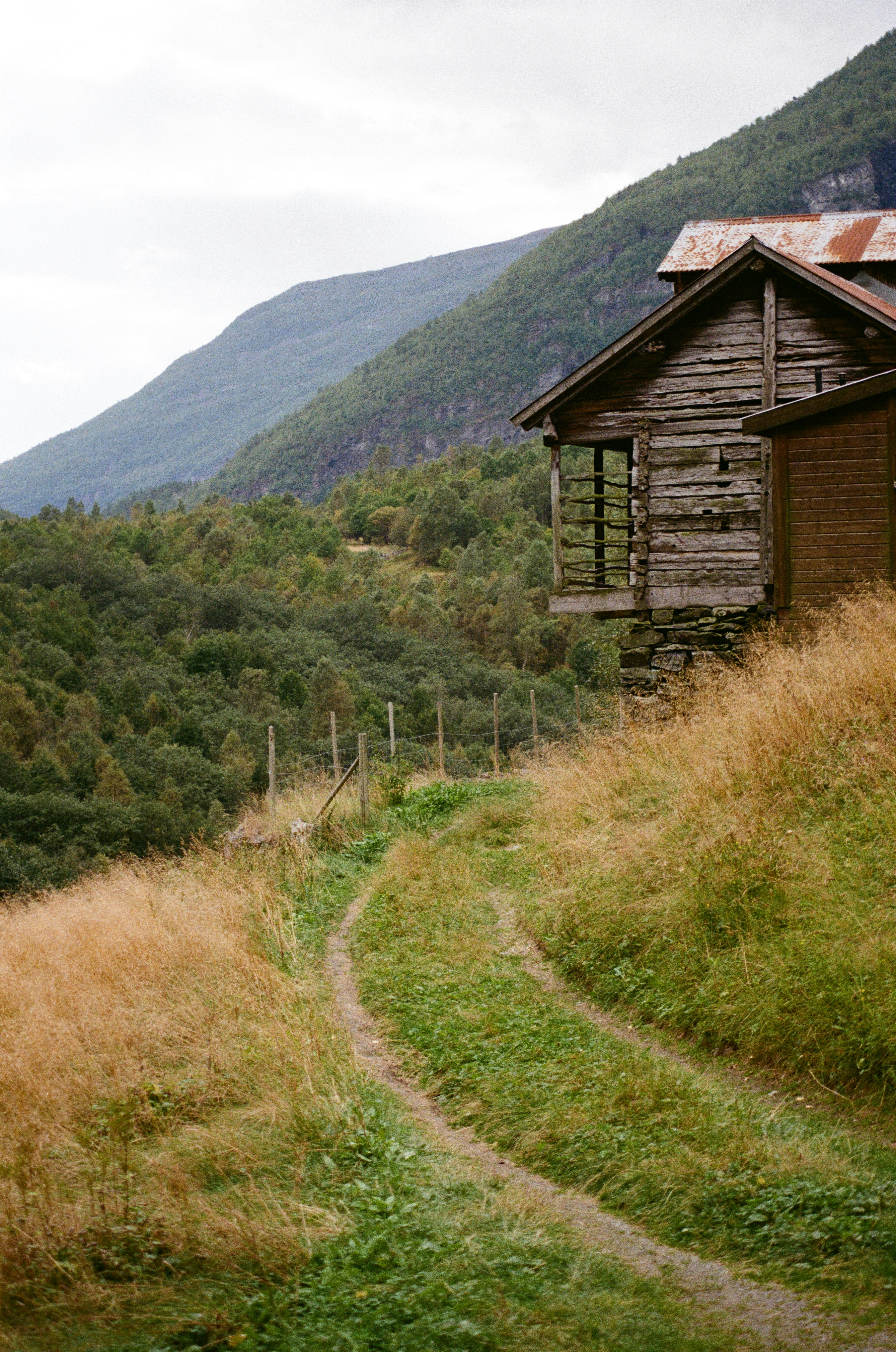 Abandoned hillside cabin skimming the edge of the valley trail