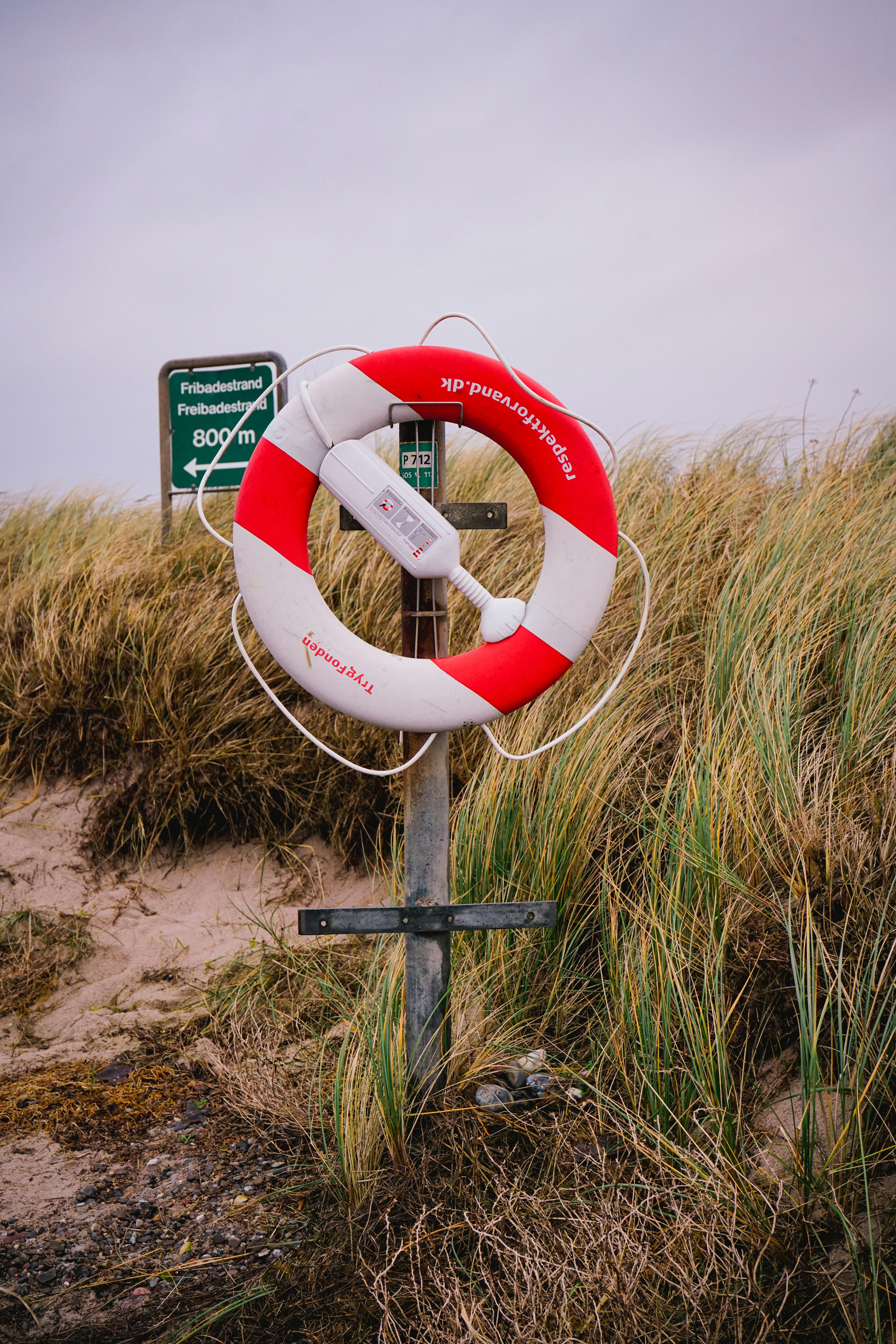 Life Preserver on the Shore: A Quiet Coastal Sentinel