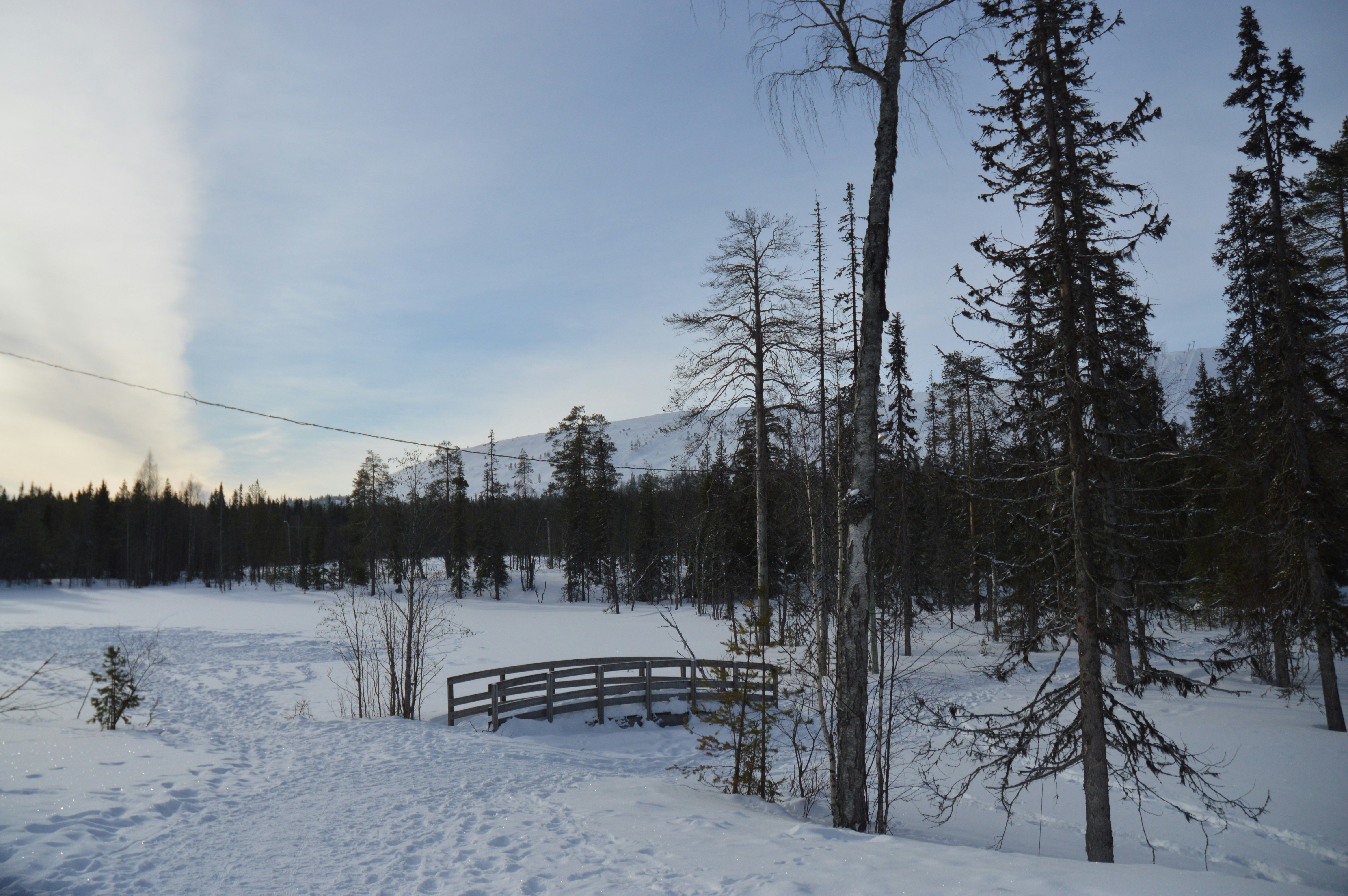 Snowy Clearing with Wooden Bridge under Winter Sky