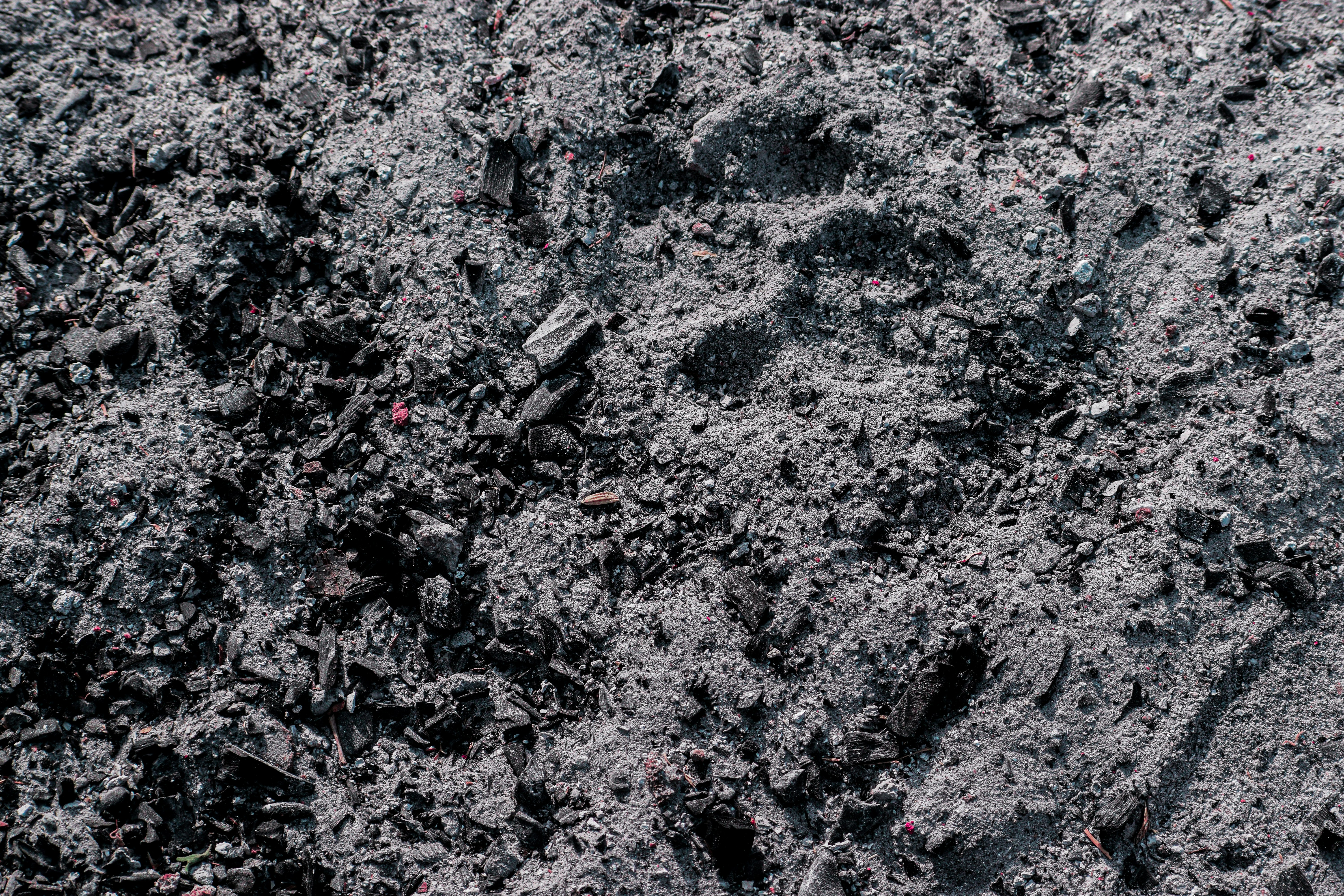 Ash Background Pictures | Download Free Images on Unsplash