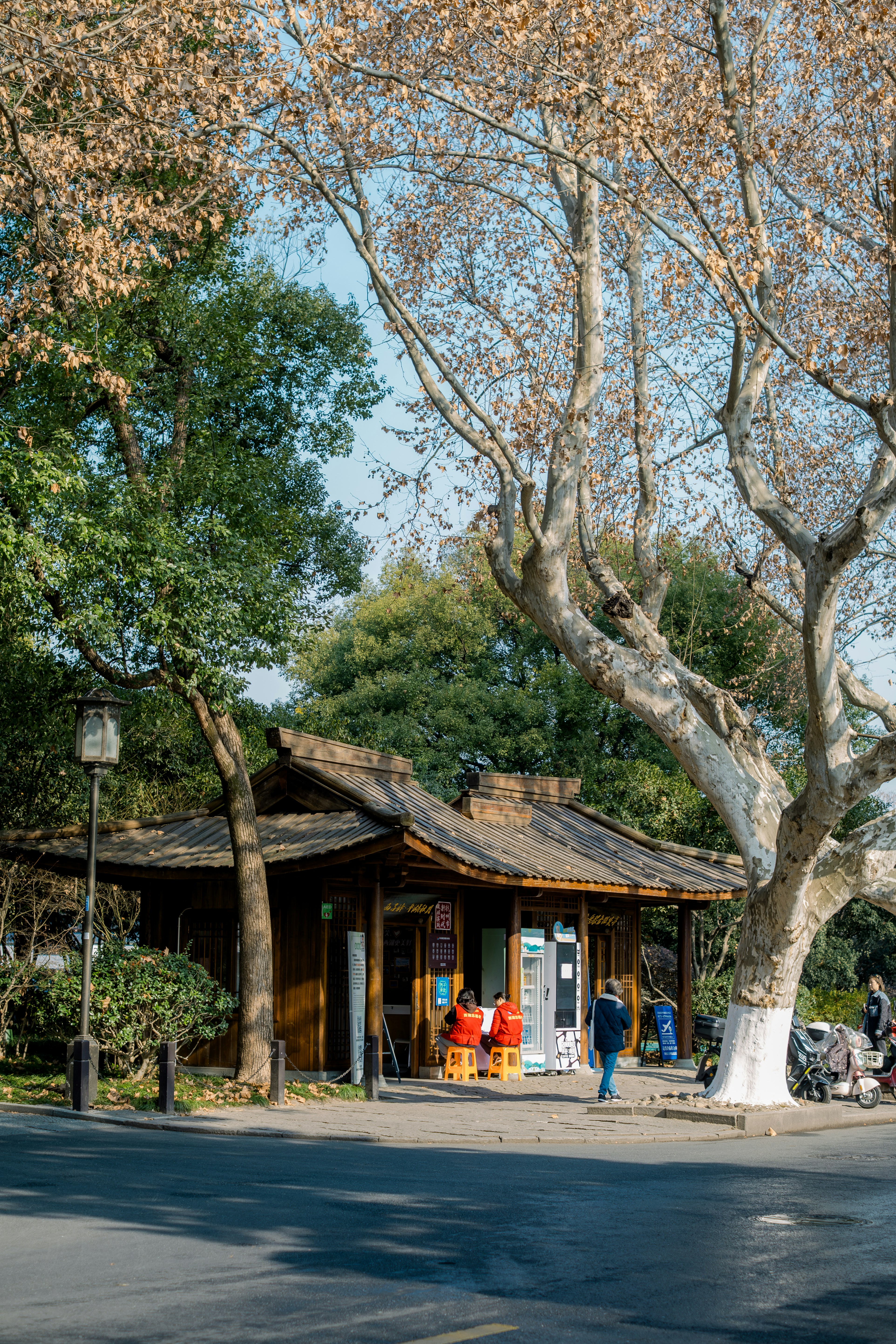 Sunlit Tea House Under Bare Autumn Trees