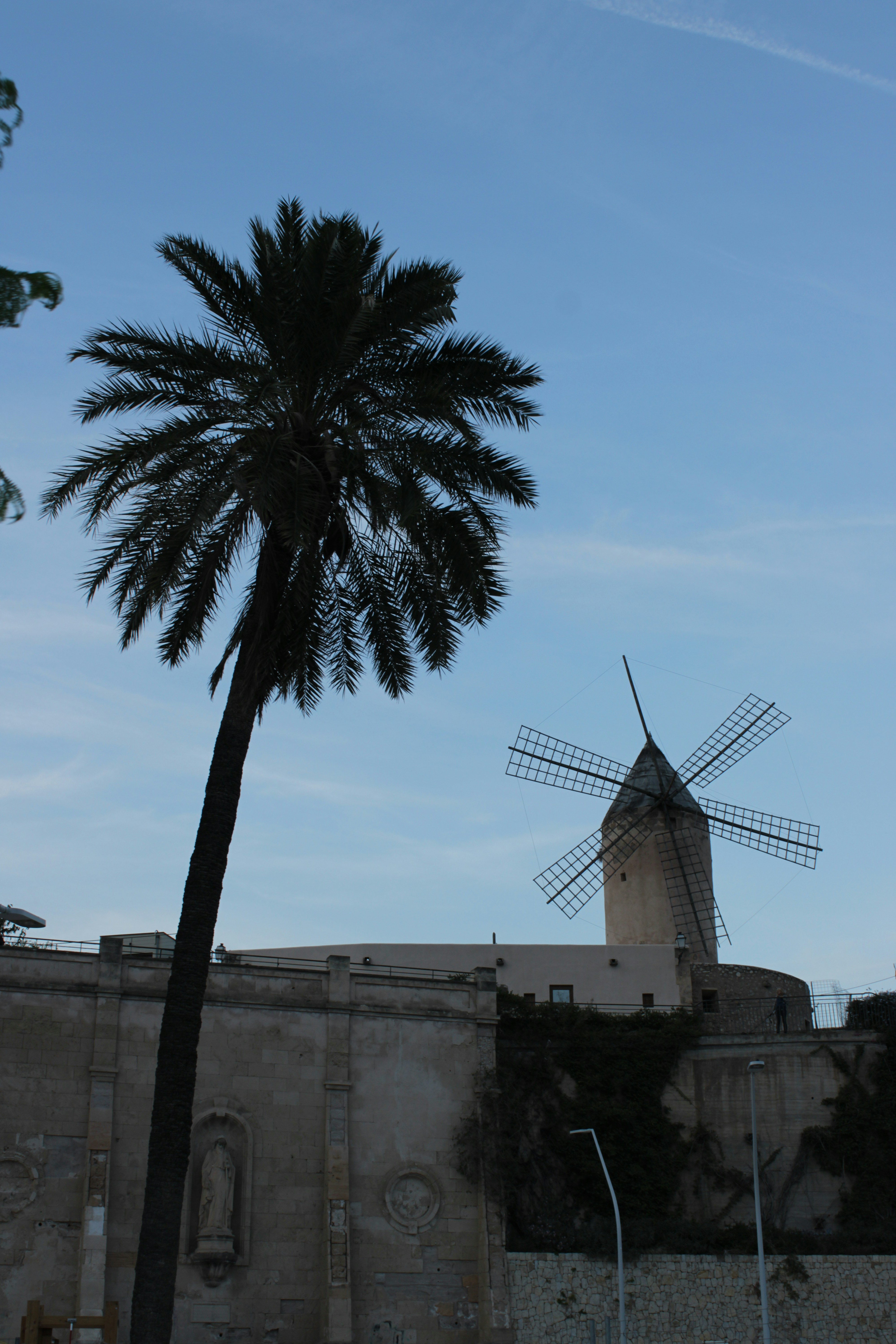 Coastal Windmill and Palm Silhouette Under a Clear Sky