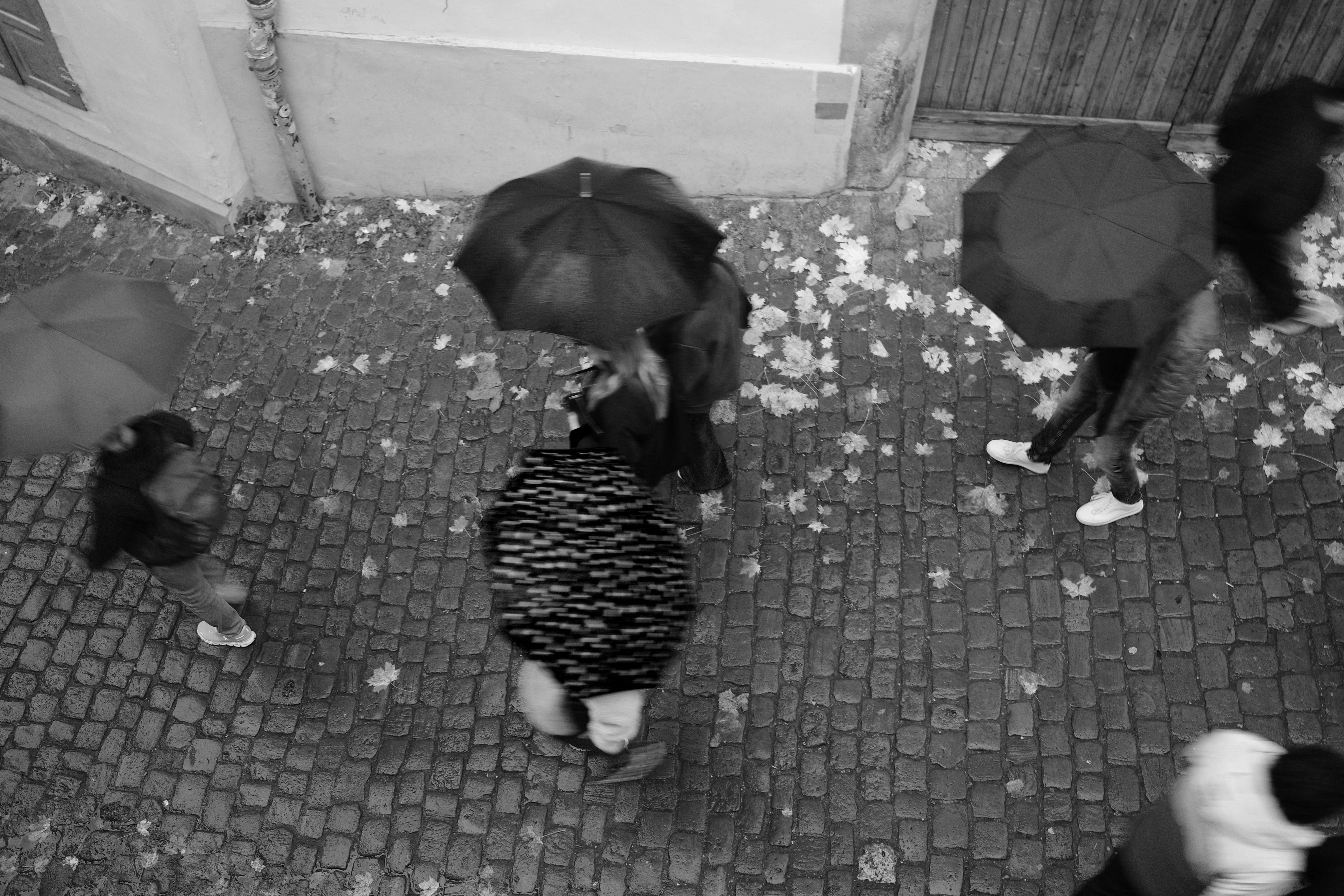 Umbrellas Over the Cobblestones: A Quiet Rain of Figures