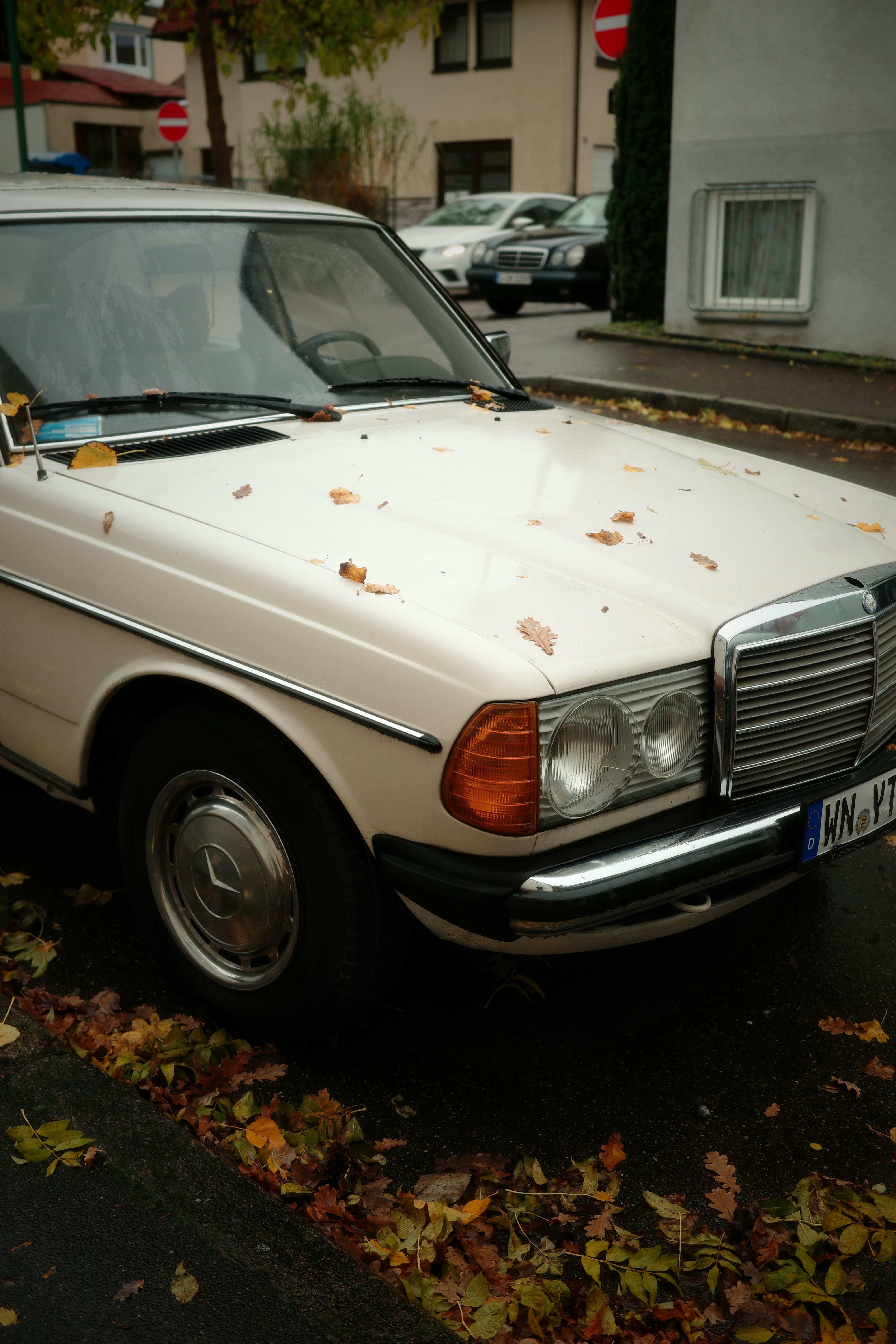 Winter Morning Vintage: A Mercedes-Benz Graces the Wet Street