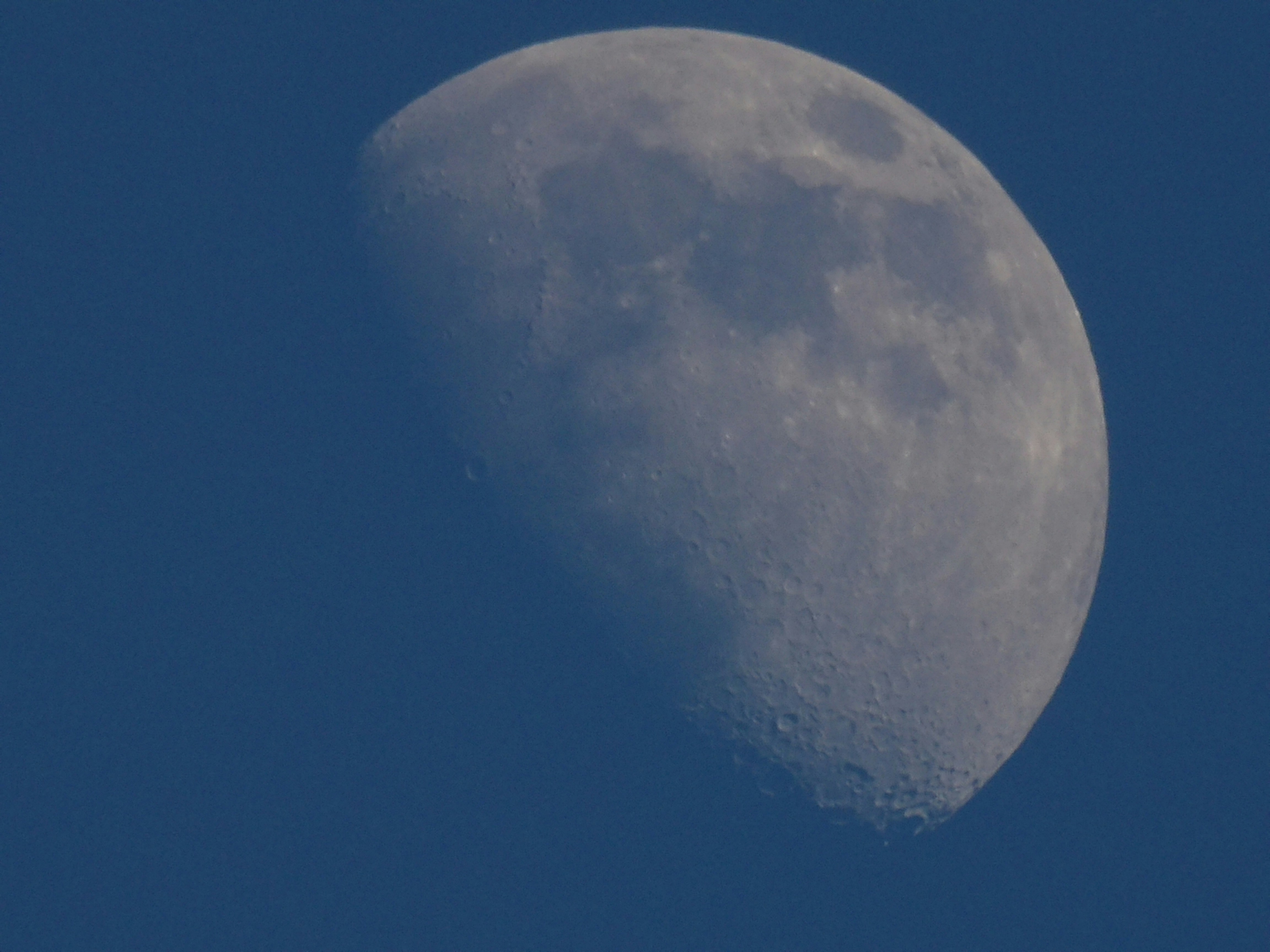 A half moon against a dark blue sky