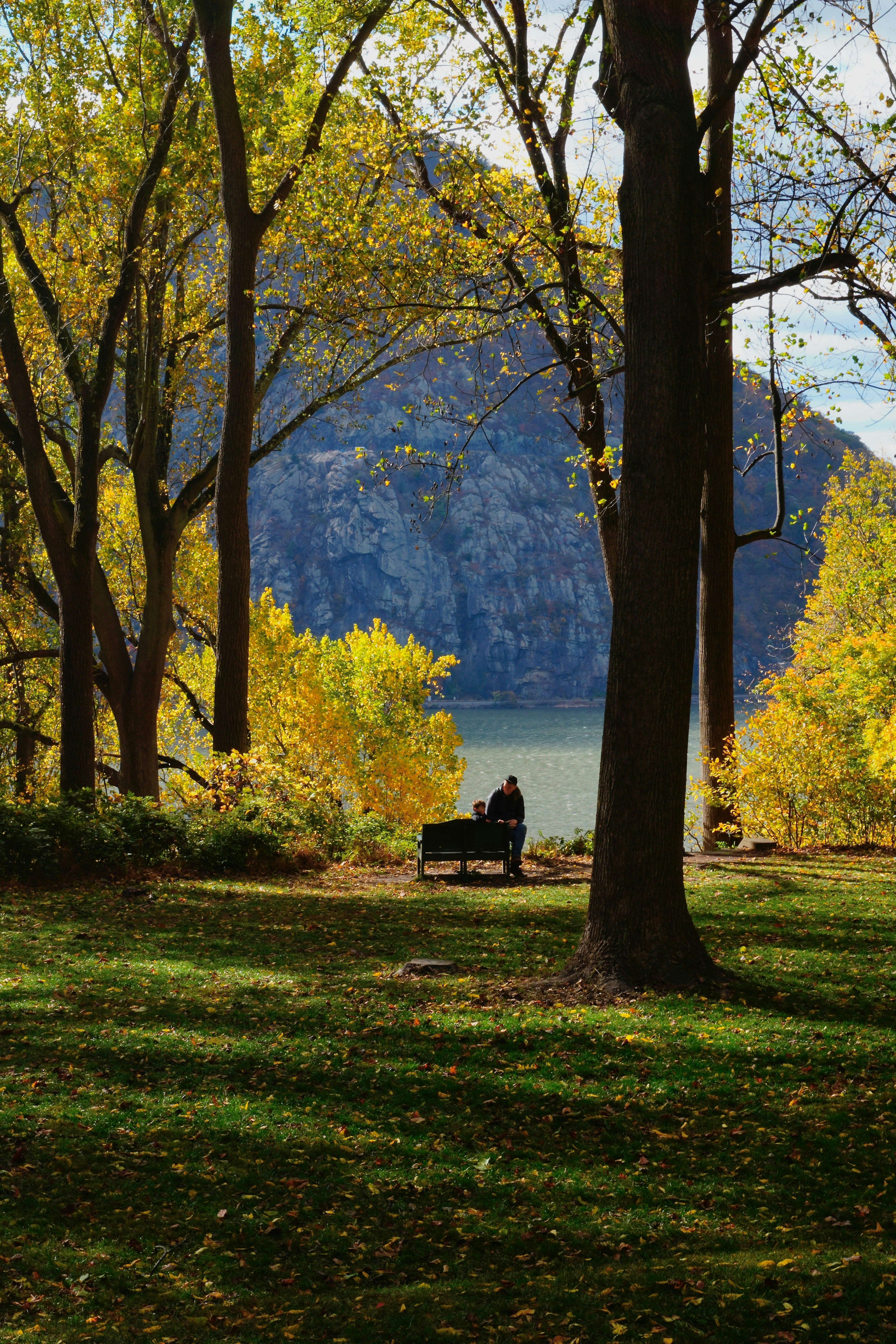 Autumn Calm by the Lake: Quiet bench beneath the tall Slim Trunks