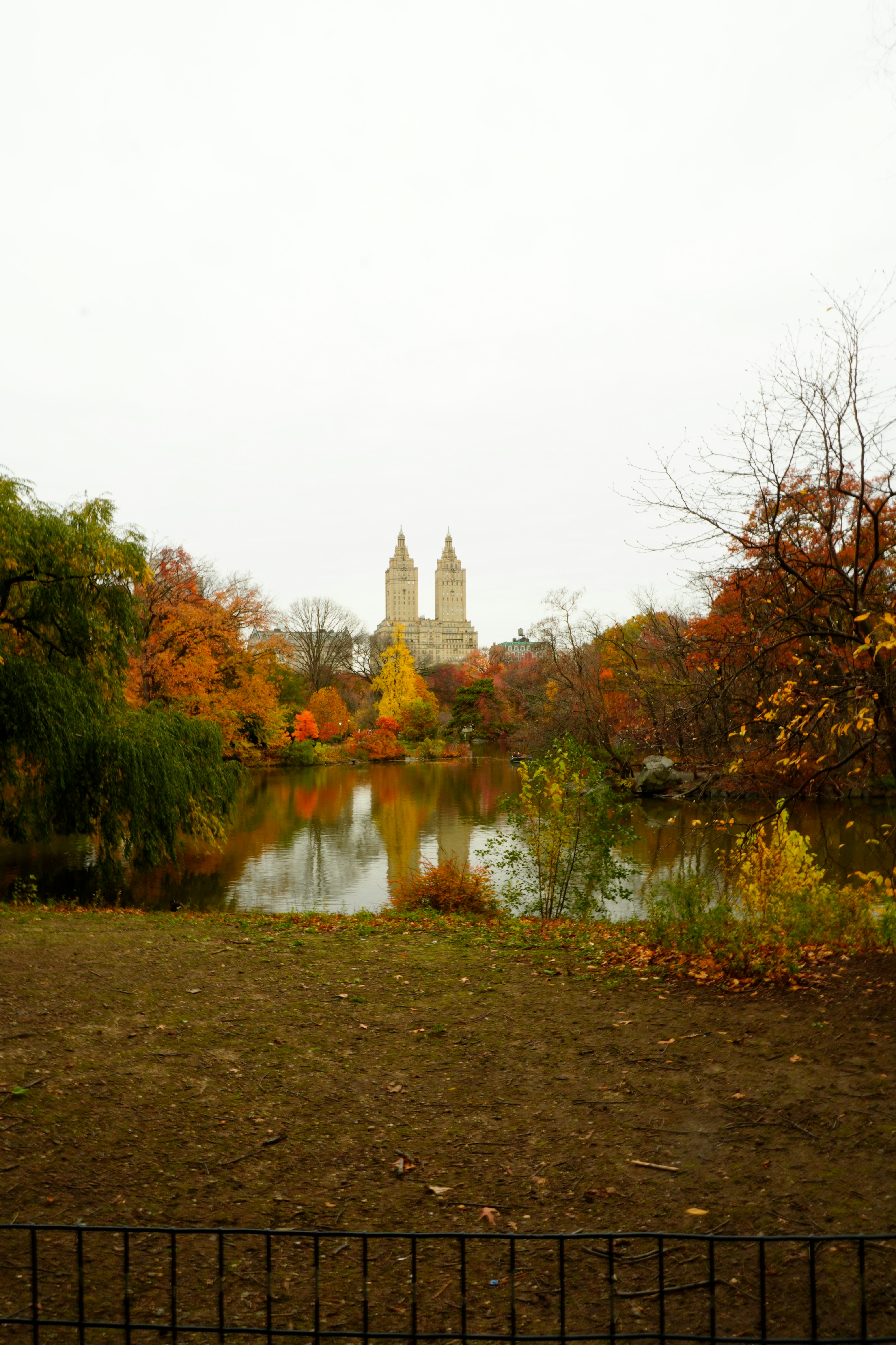 Autumn Reflections in the Central Park Lagoon with Tulip-Tower Silhouettes