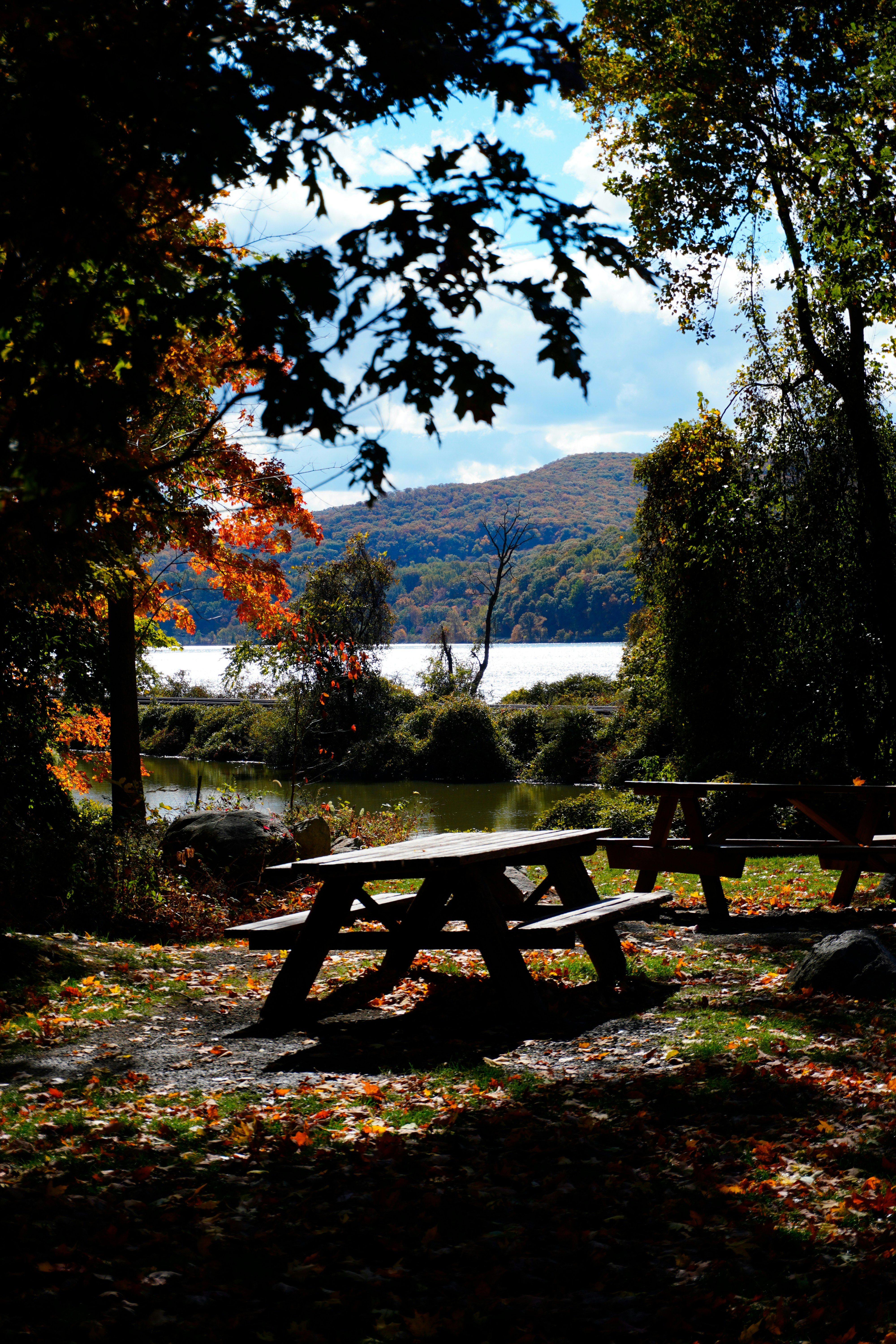 Sunlit Clearing by the Lake: Autumn Glade with Picnic Tables