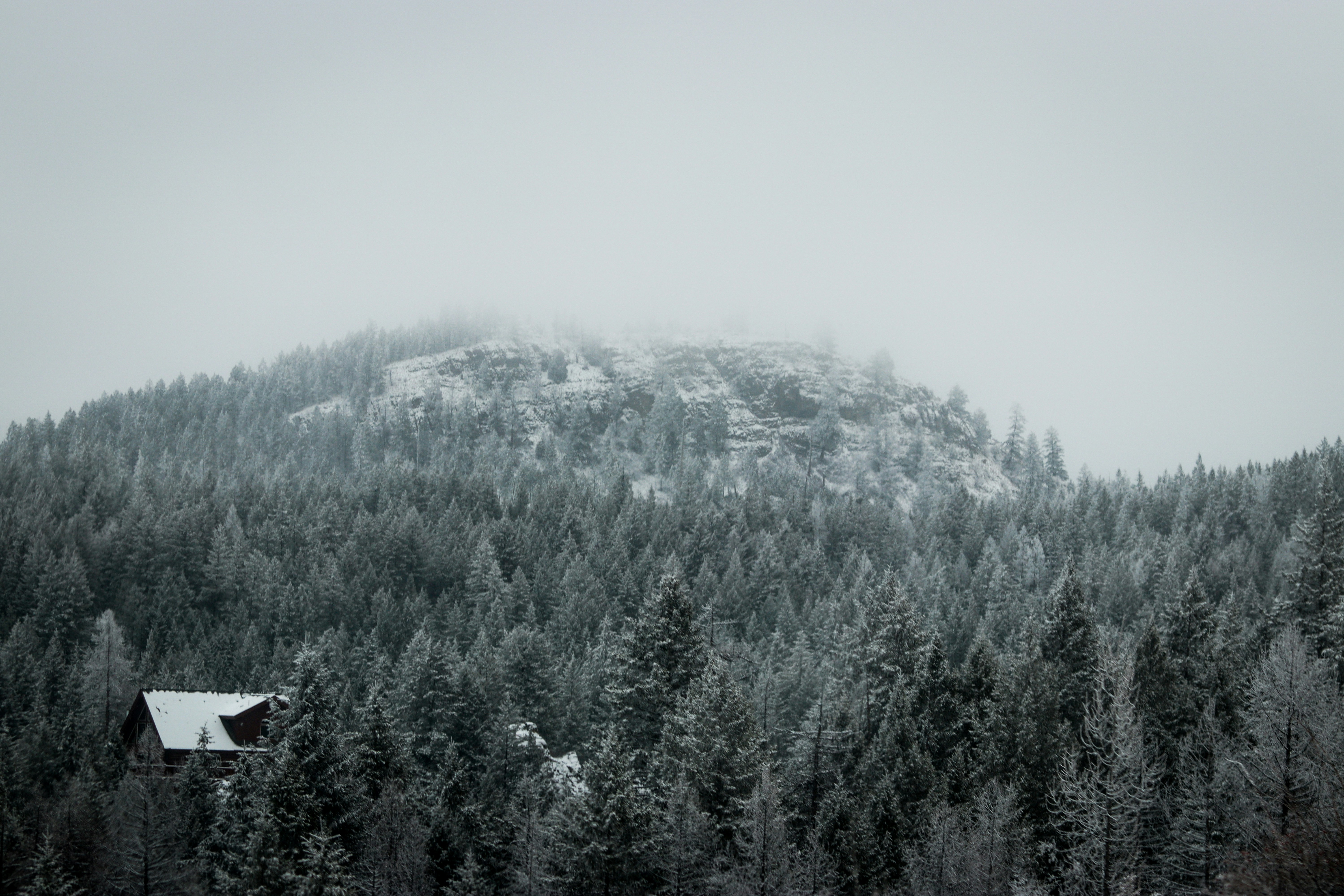 Snow-dusted pines and a lonely cabin at the edge of a forested hill