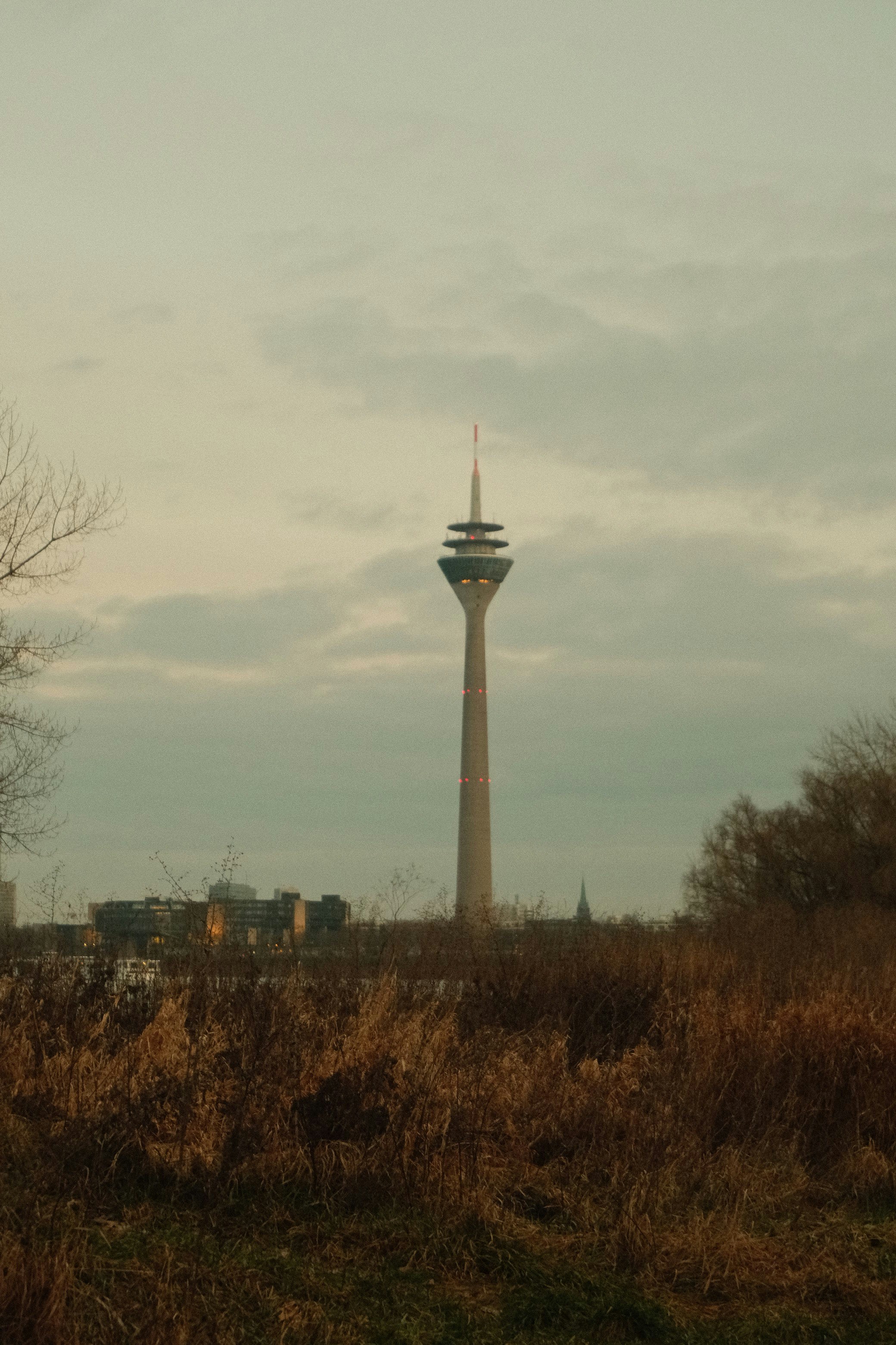 Urban Sentinel: The Skyline Tower Rising Above Prairie Vines