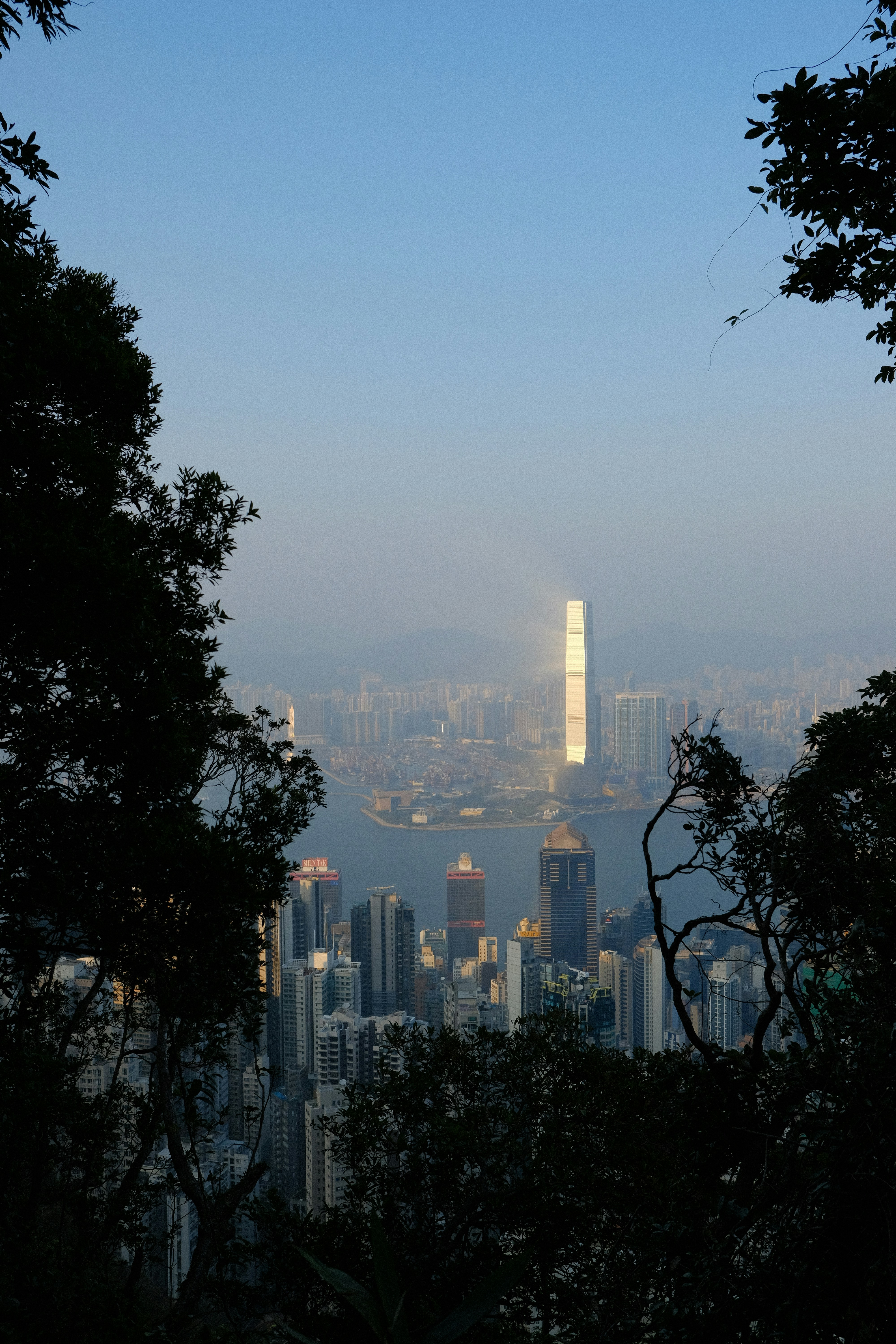 City Crown: A Skyline Pierced by a Gleaming Tower