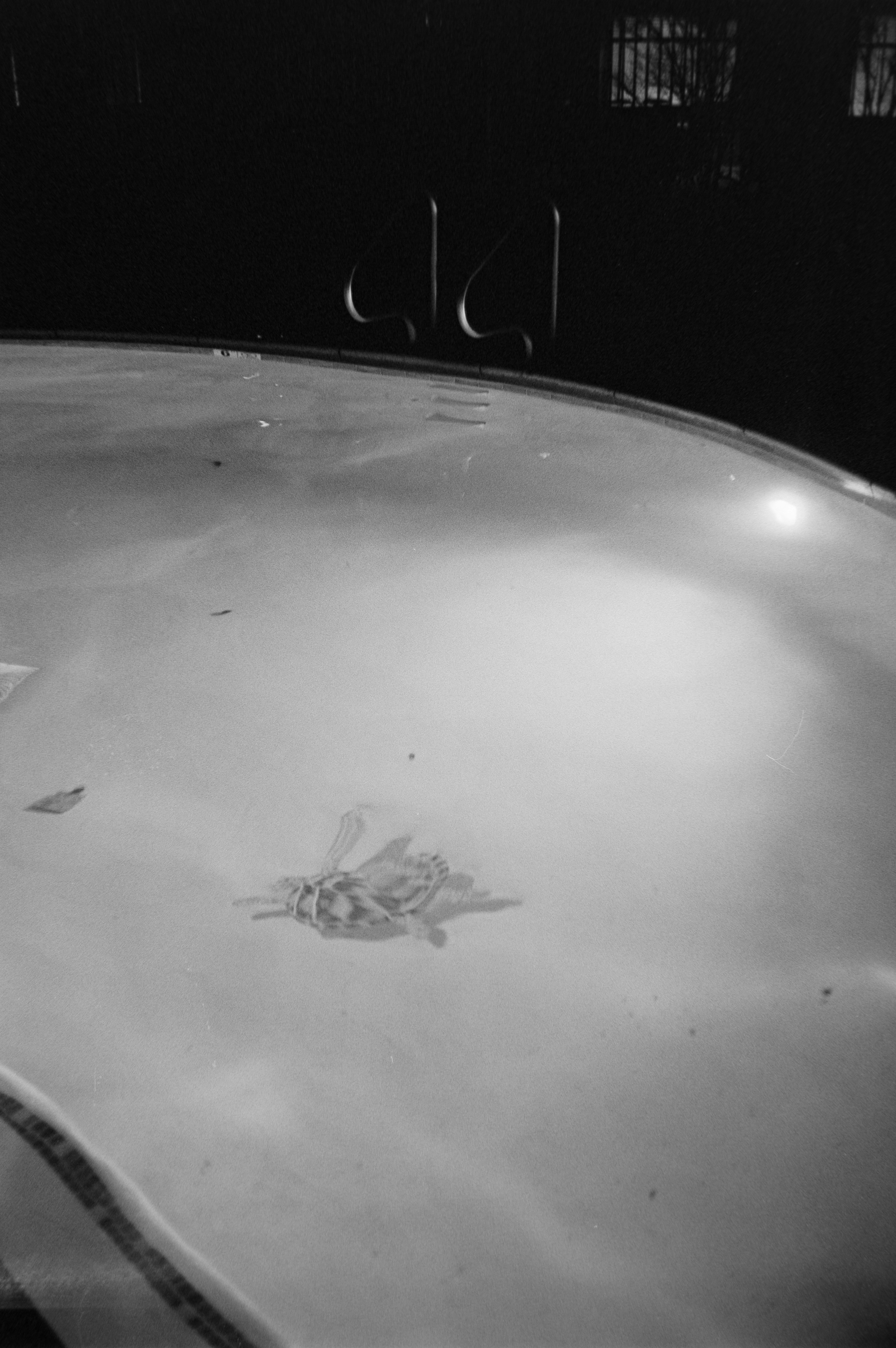 Bare Surface, Quiet Night; A Glimpse of Reflections on a Car Hood