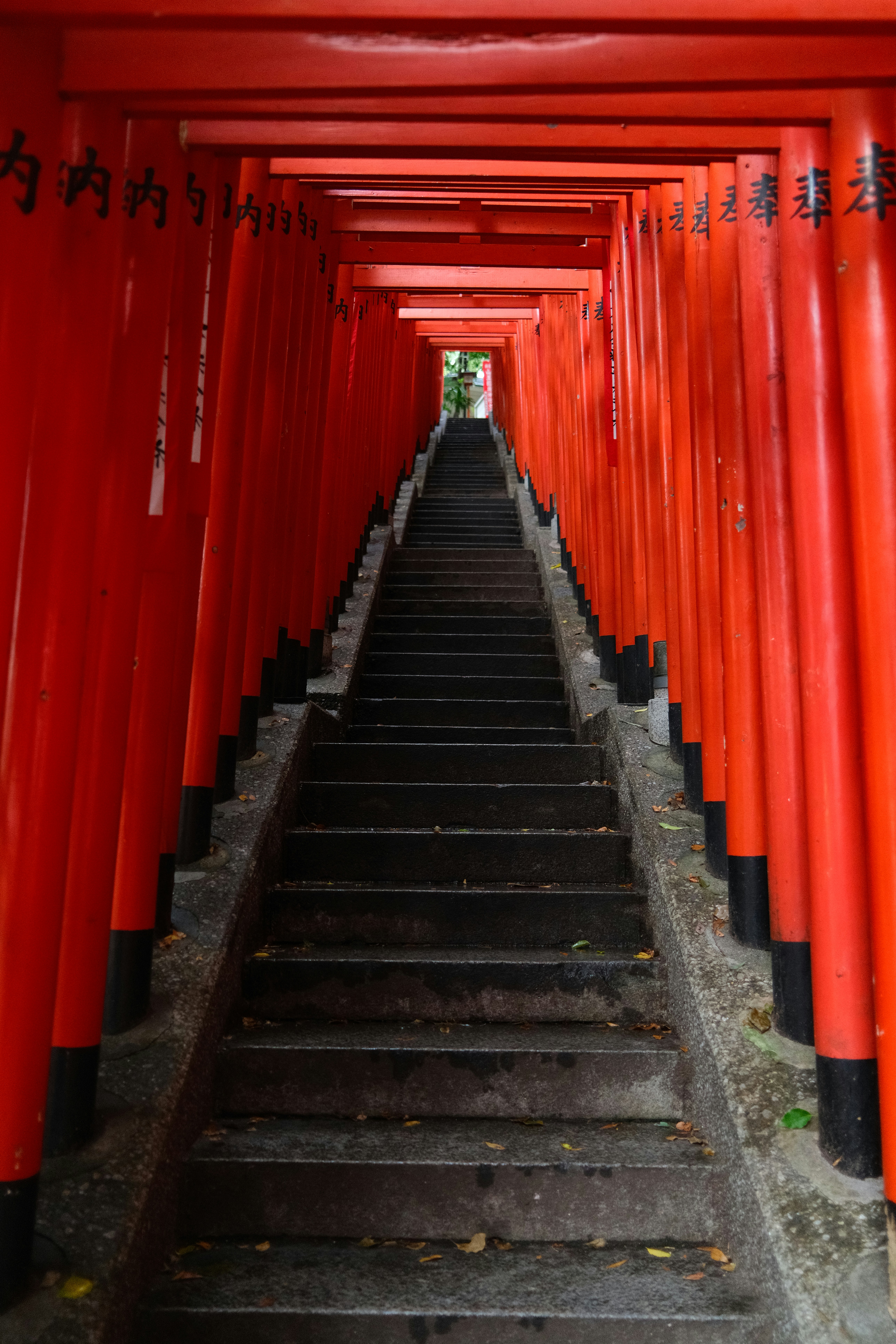 Red Corridor: A Long Ascent Through Torii Gates