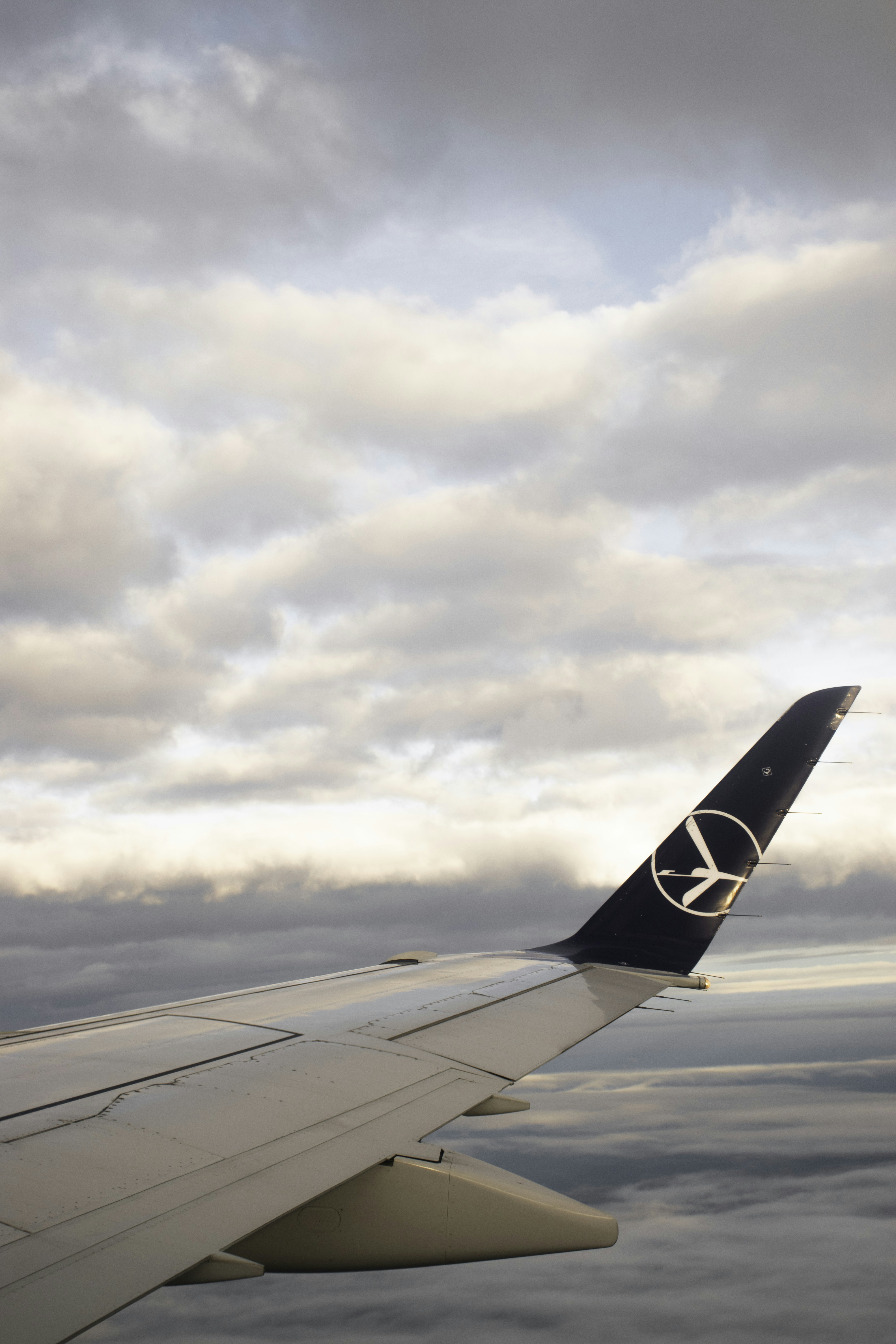 Wingtip Silhouette: Skyward Horizon on a Sunset Flight