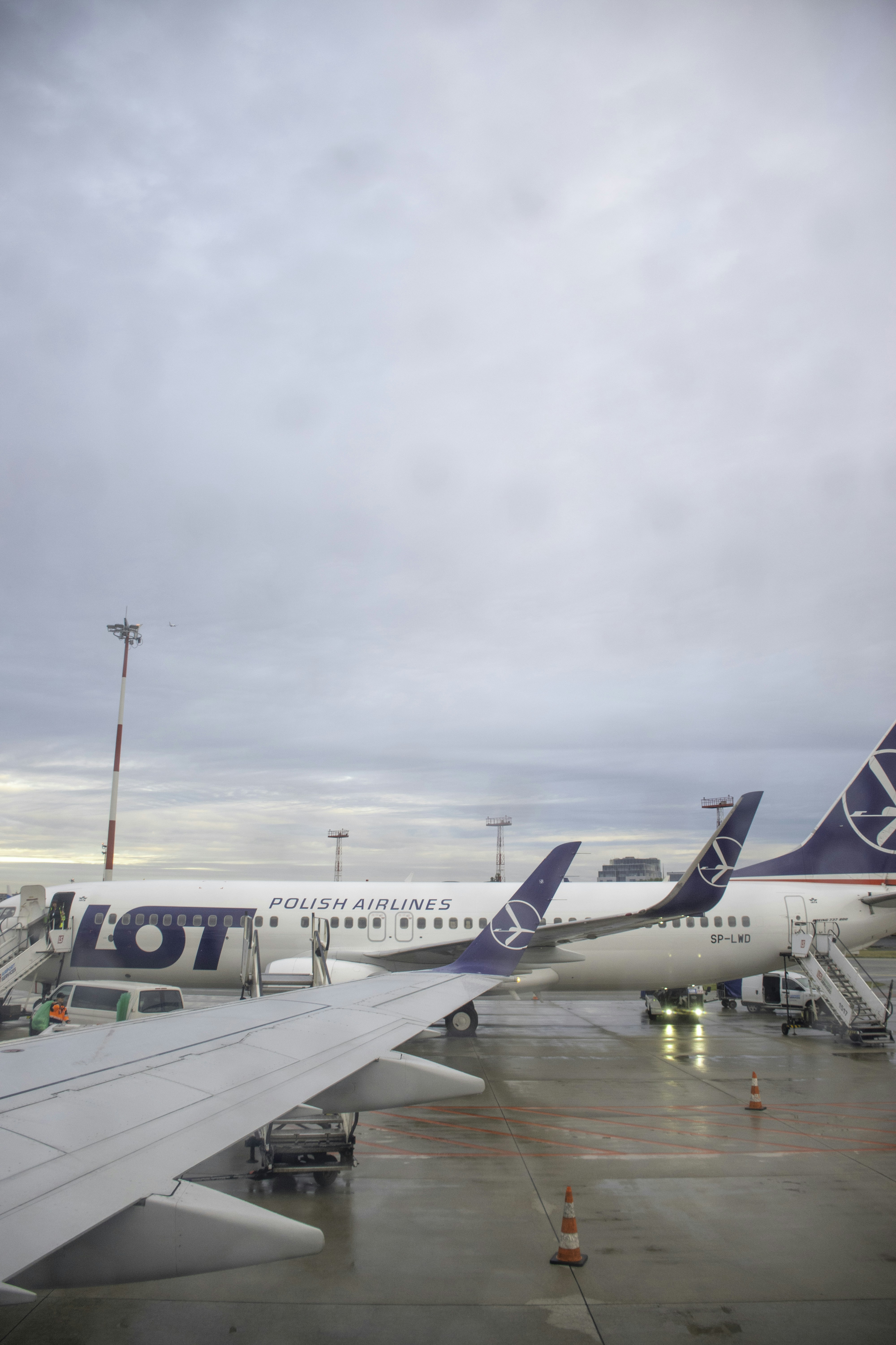 Wing Glider at Gate: Polish Airlines on a Quiet Tarmac