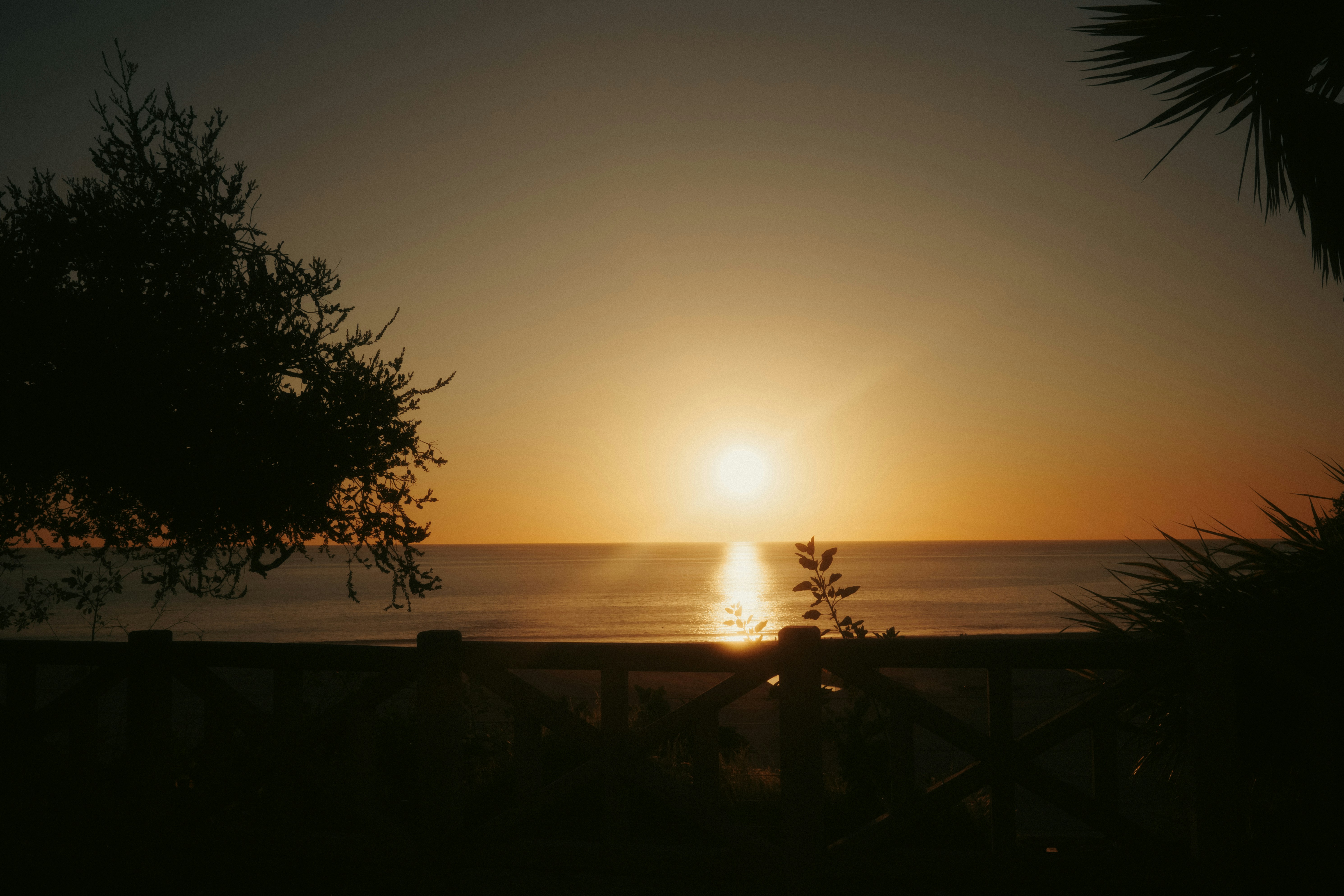 Sunlit horizon over a silhouetted seaside railing