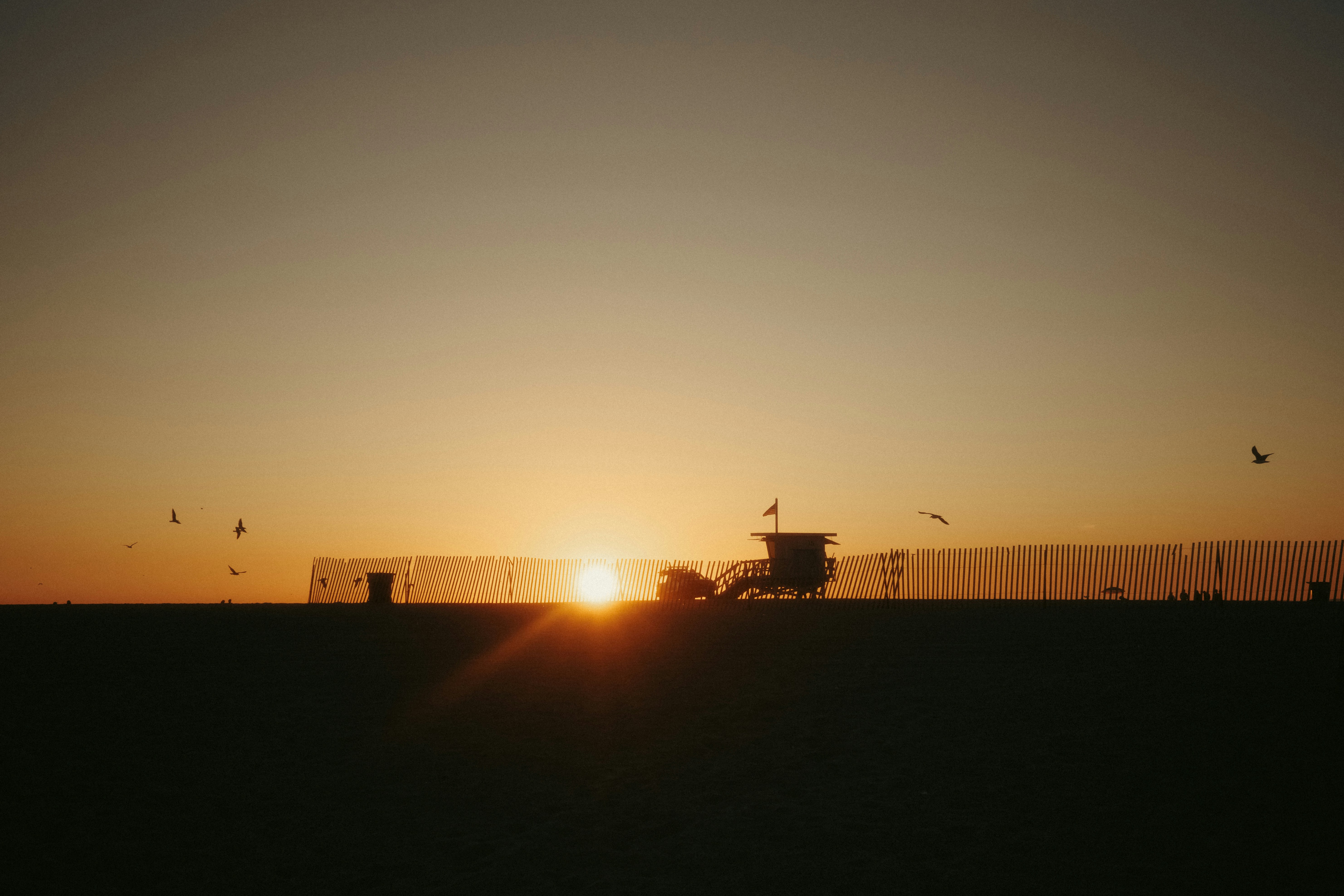 Silhouette at the Edge: Sunset Lifeguard Tower Beneath a Fluttering Flock